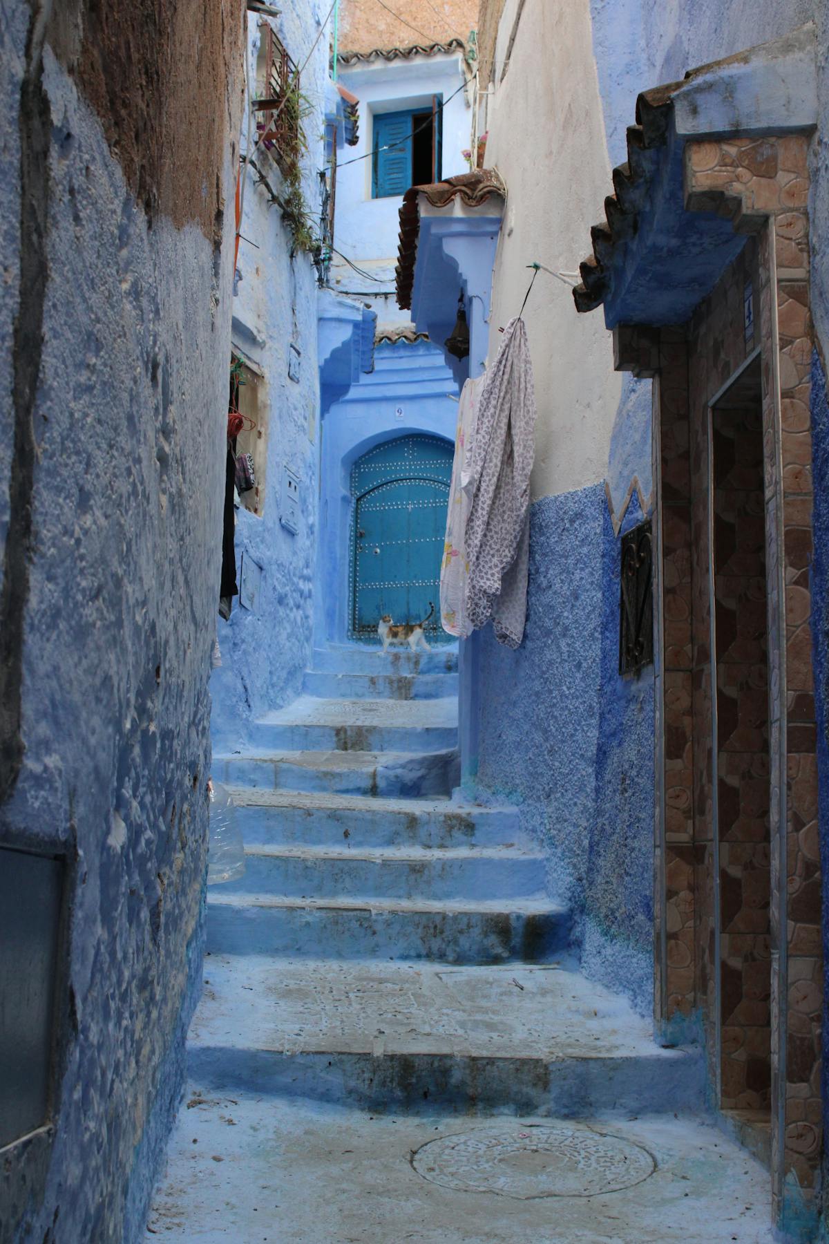 60.000+ Foto Hot+cewe+arab Terbaik · Unduh Gratis 100% · Foto Stok Pexels