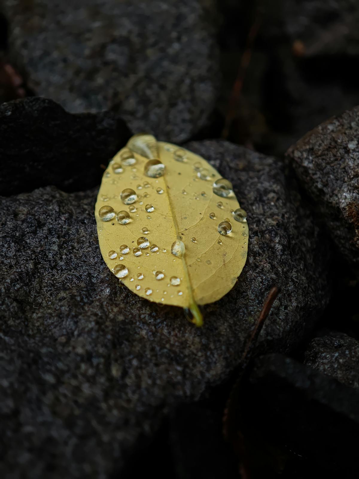 Free+Bitmap+Images Photos, Download The BEST Free Free+Bitmap+Images ...