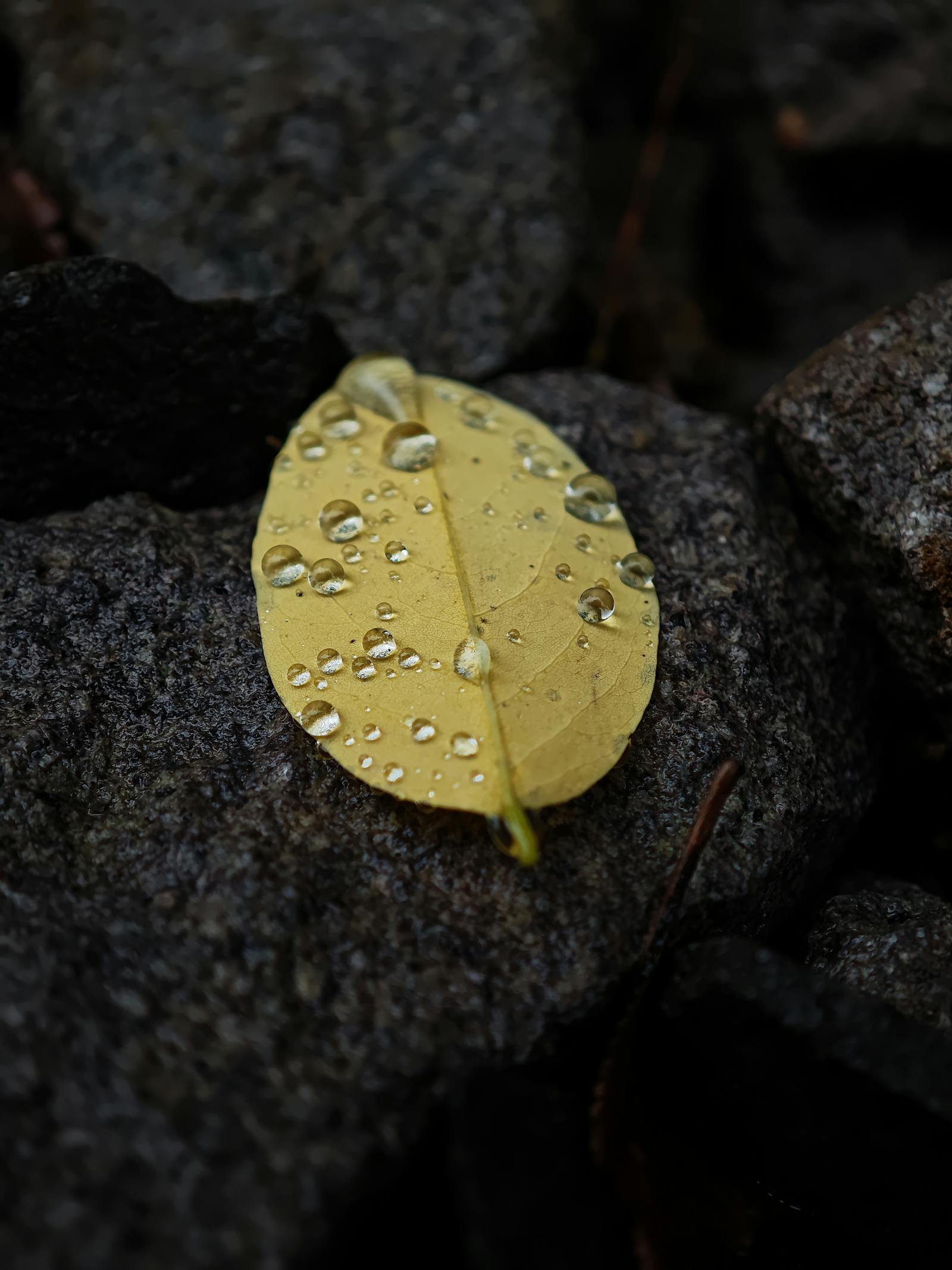 Free+Bitmap+Images Photos, Download The BEST Free Free+Bitmap+Images ...