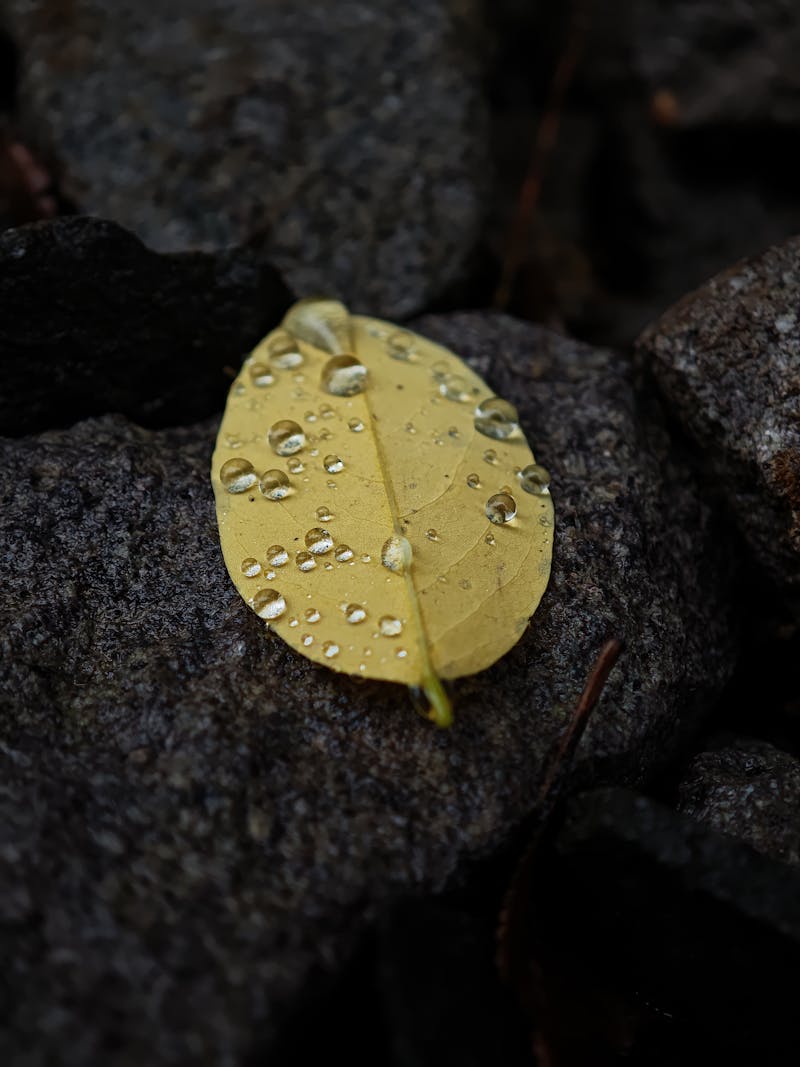 Free+Bitmap+Images Photos, Download The BEST Free Free+Bitmap+Images ...