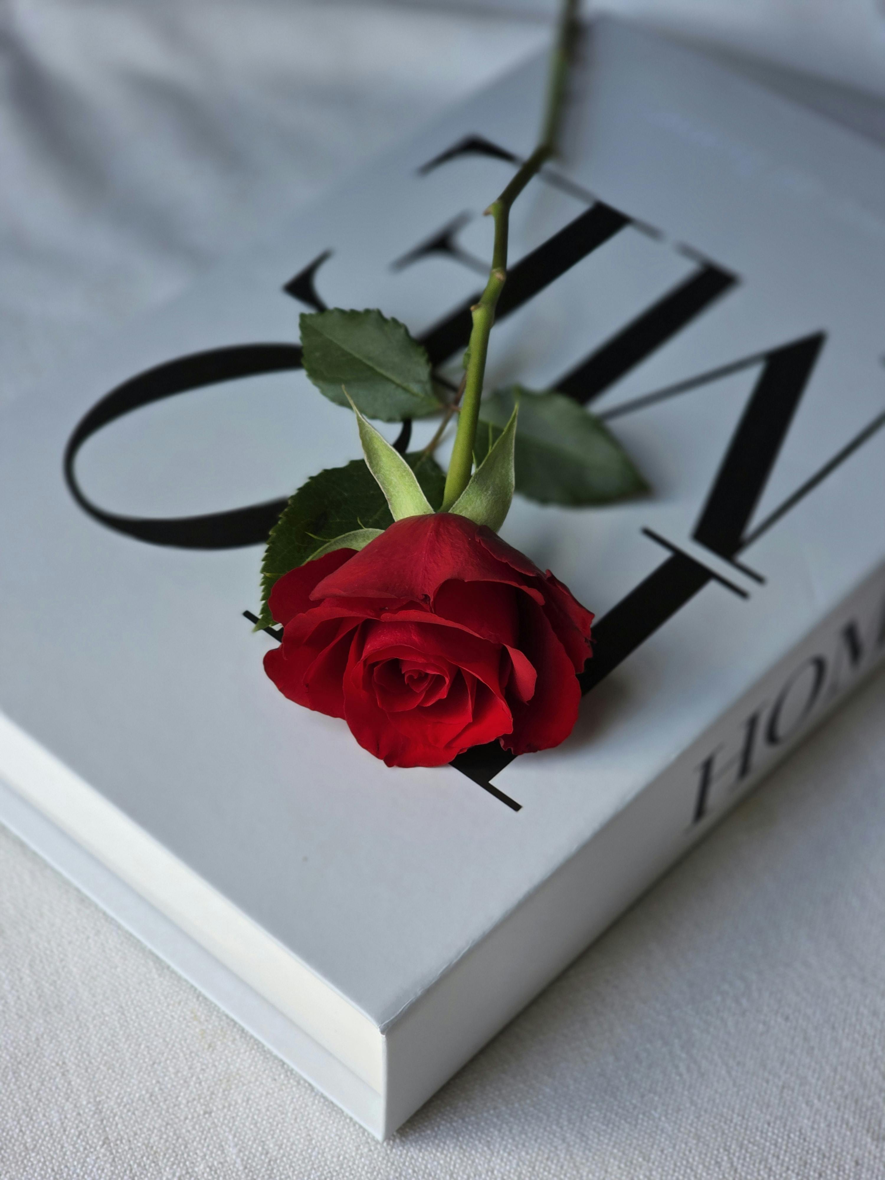 Single Book Photos, Download The BEST Free Single Book Stock Photos ...