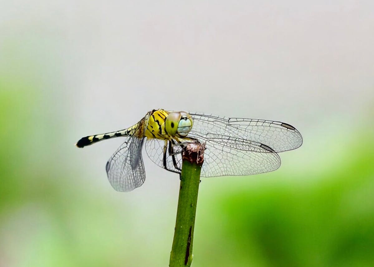 Hindi+Hd+Bf Photos, Download The BEST Free Hindi+Hd+Bf Stock Photos ...