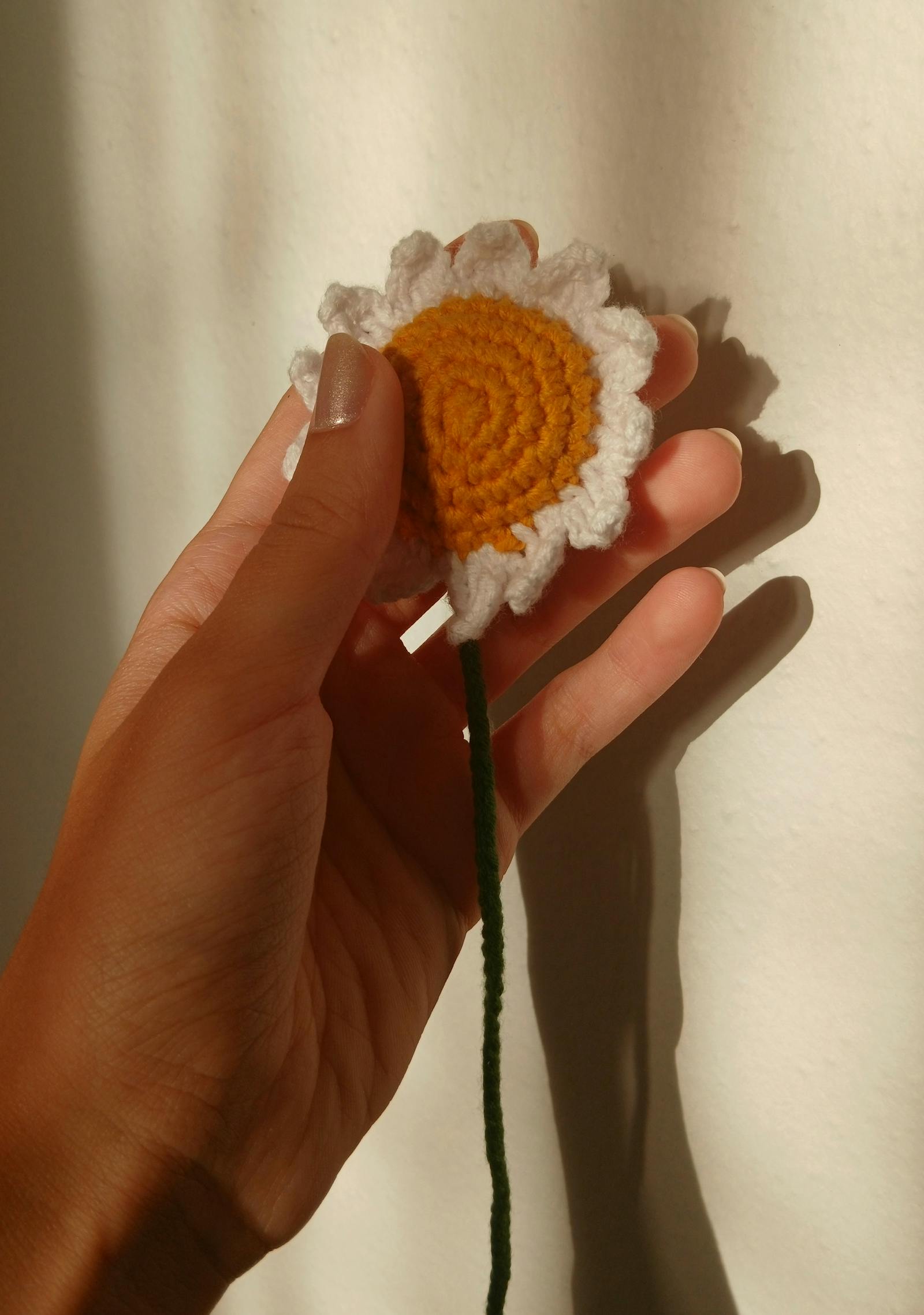 Flower Bookey Photos, Download The BEST Free Flower Bookey Stock Photos ...