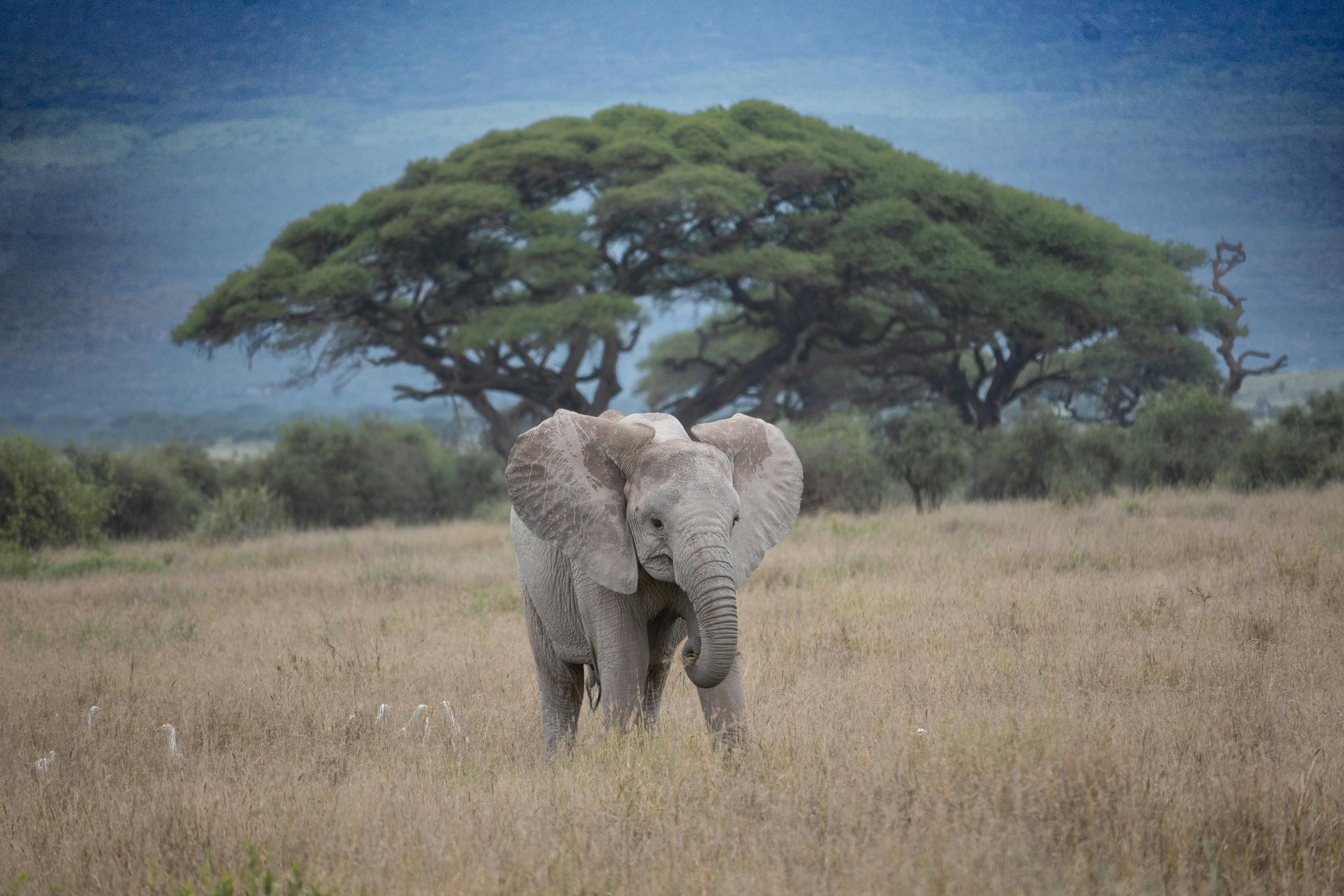 +Big+Booty+White+Women Photos, Download The BEST Free +Big+Booty+White ...