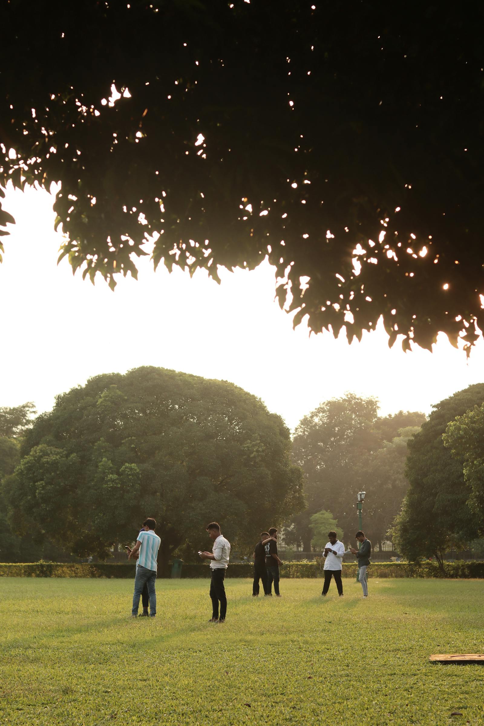 Shade Photos, Download The BEST Free Shade Stock Photos & HD Images