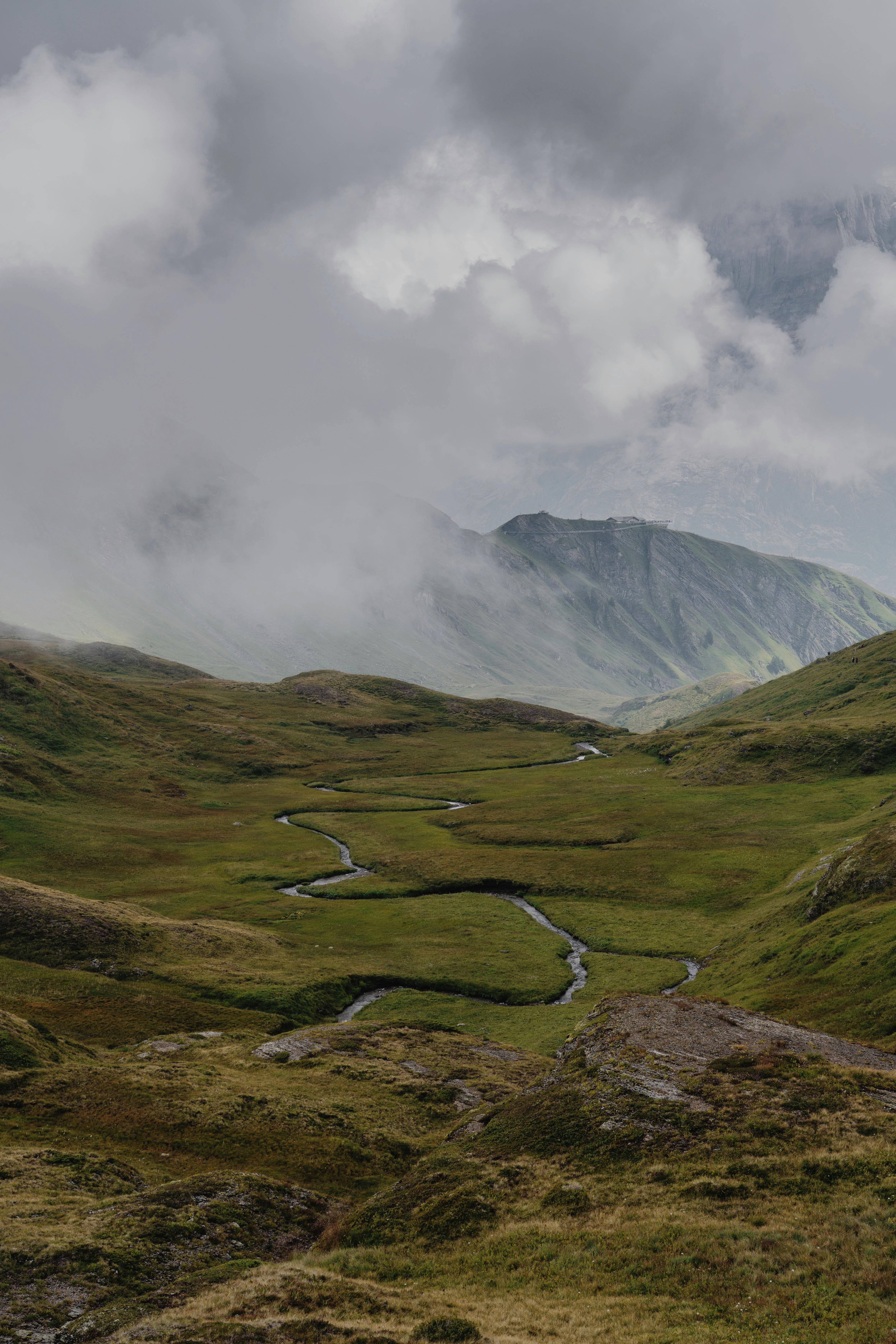 Nature Pfp Photos, Download The BEST Free Nature Pfp Stock Photos & HD ...