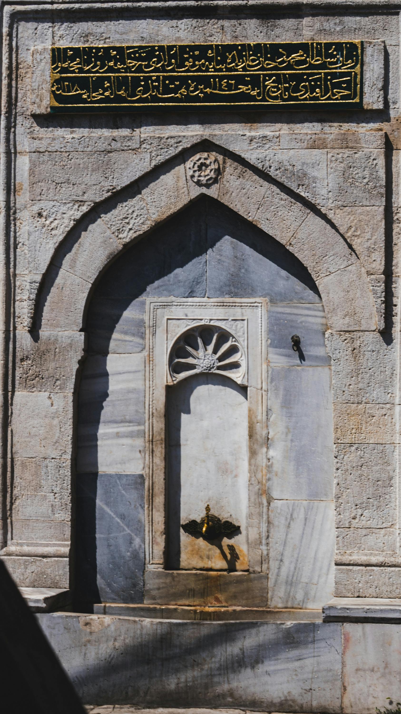 Lady+Barbara+Leg+World+Gallery Photos, Download The BEST Free Lady ...