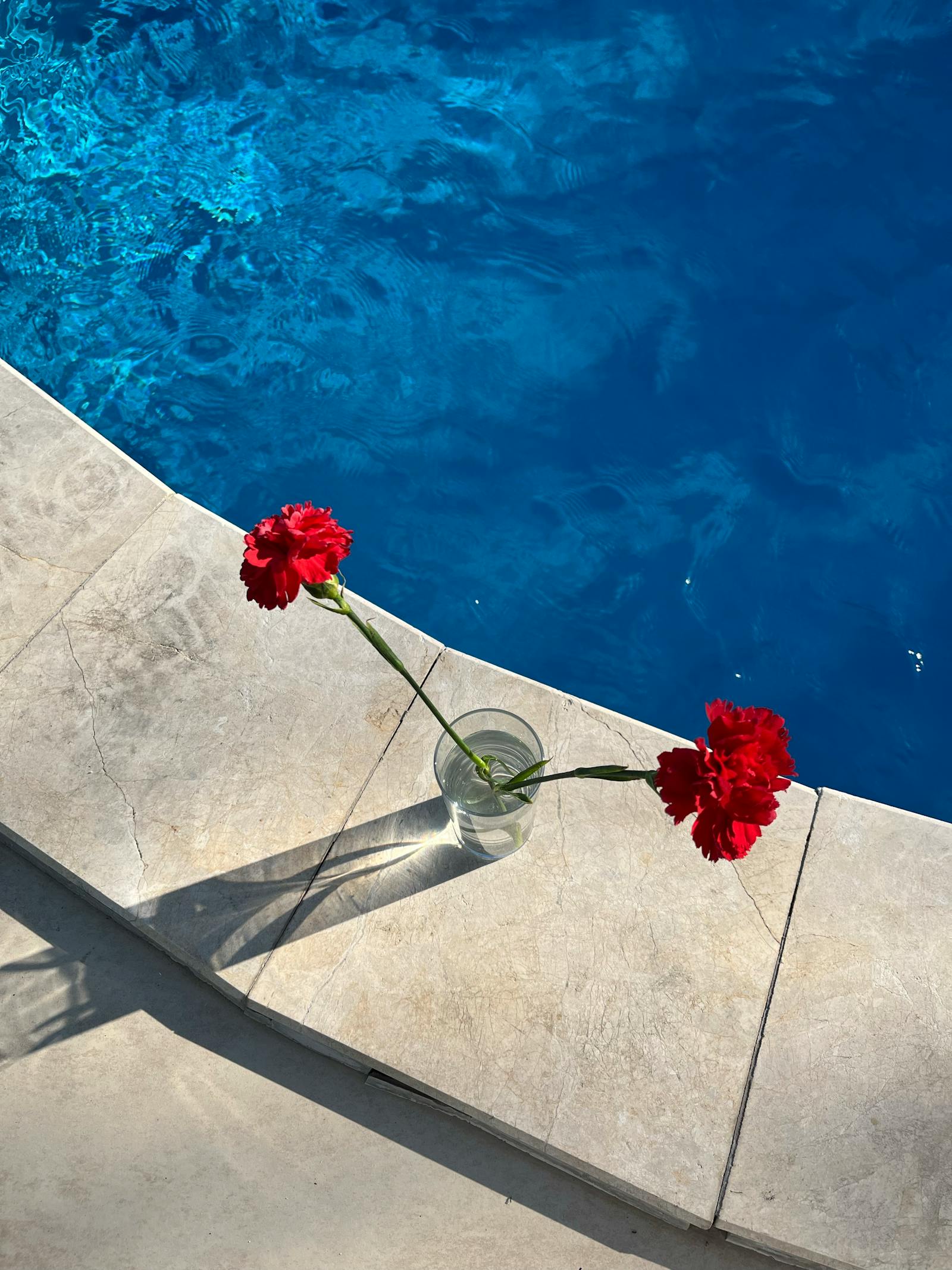 Aesthetic Pfps Photos, Download The BEST Free Aesthetic Pfps Stock ...