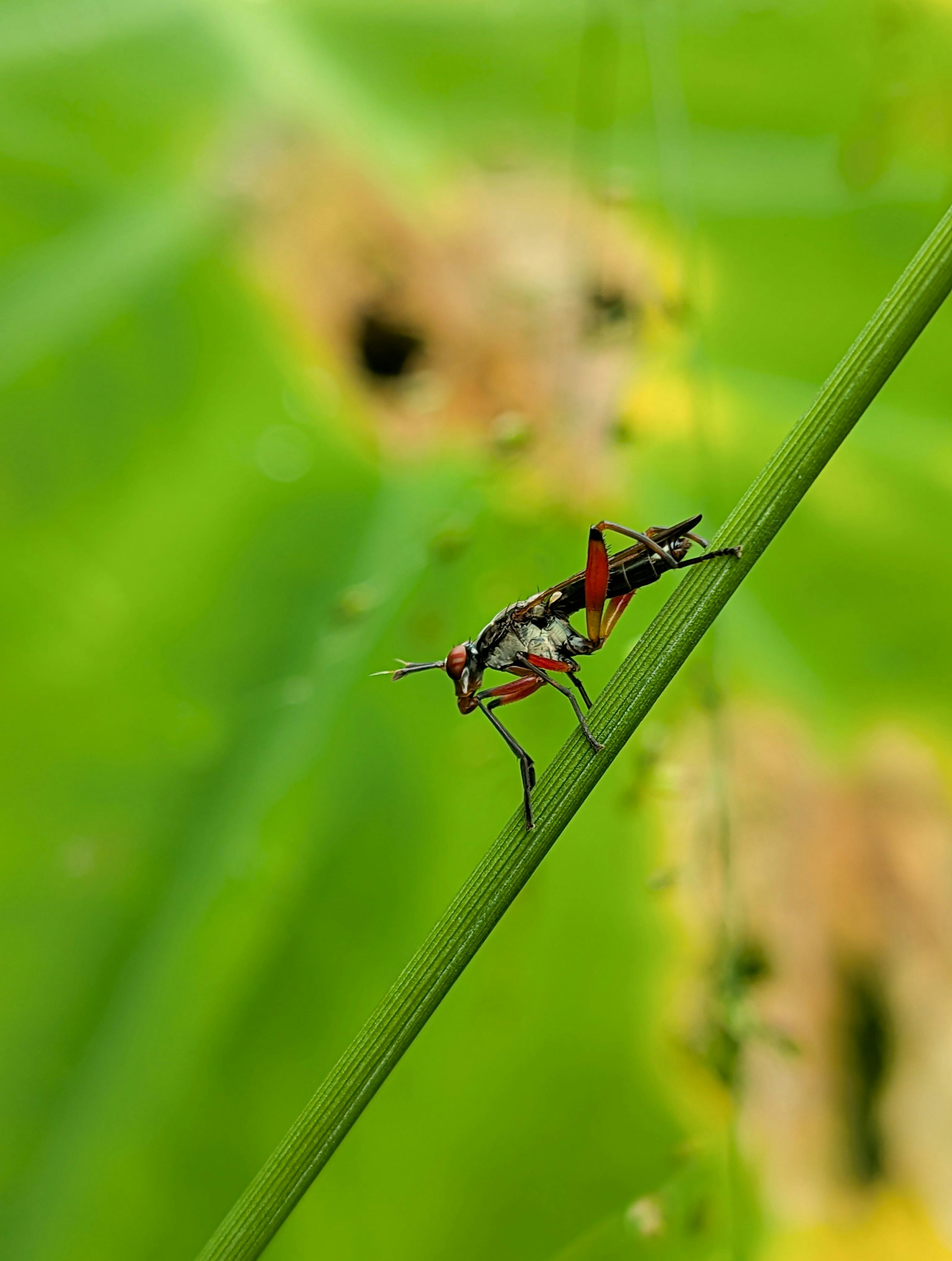 Indian+Chut+Photo+ Photos, Download The BEST Free Indian+Chut+Photo+ ...