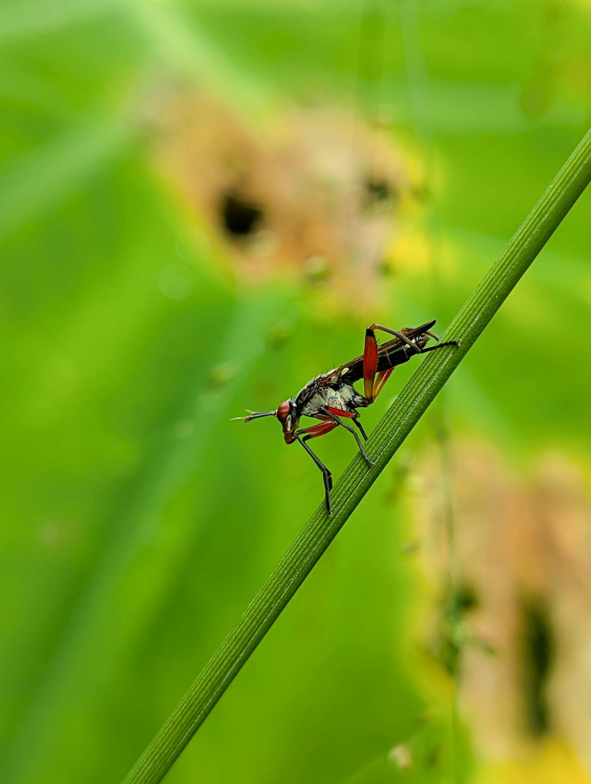 Tiny+Pointy+Titties Photos, Download The BEST Free Tiny+Pointy+Titties ...