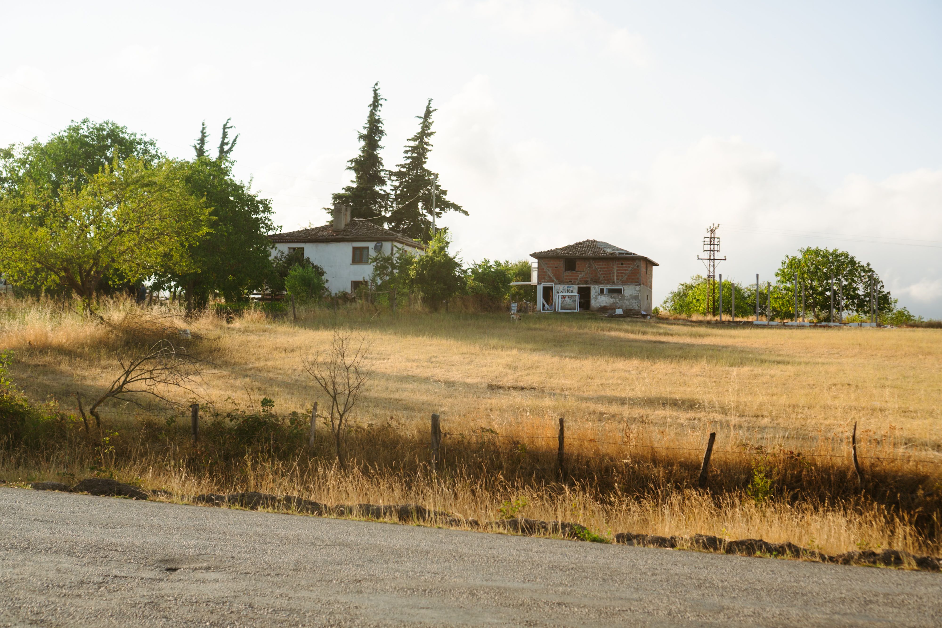 Scenic Rural Landscape with Farmhouses and Trees · Free Stock Photo