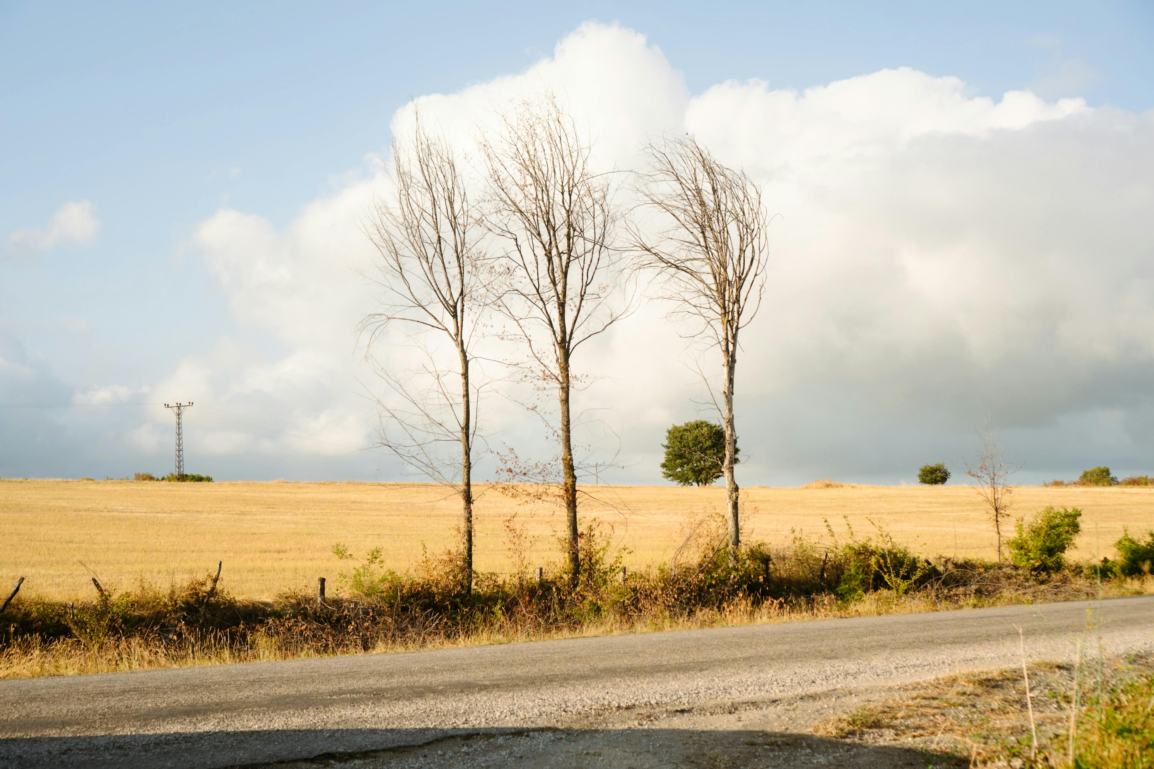 89.031+ Fotos y Imágenes de Senos+hermosos+desnudos Gratis · Banco de ...