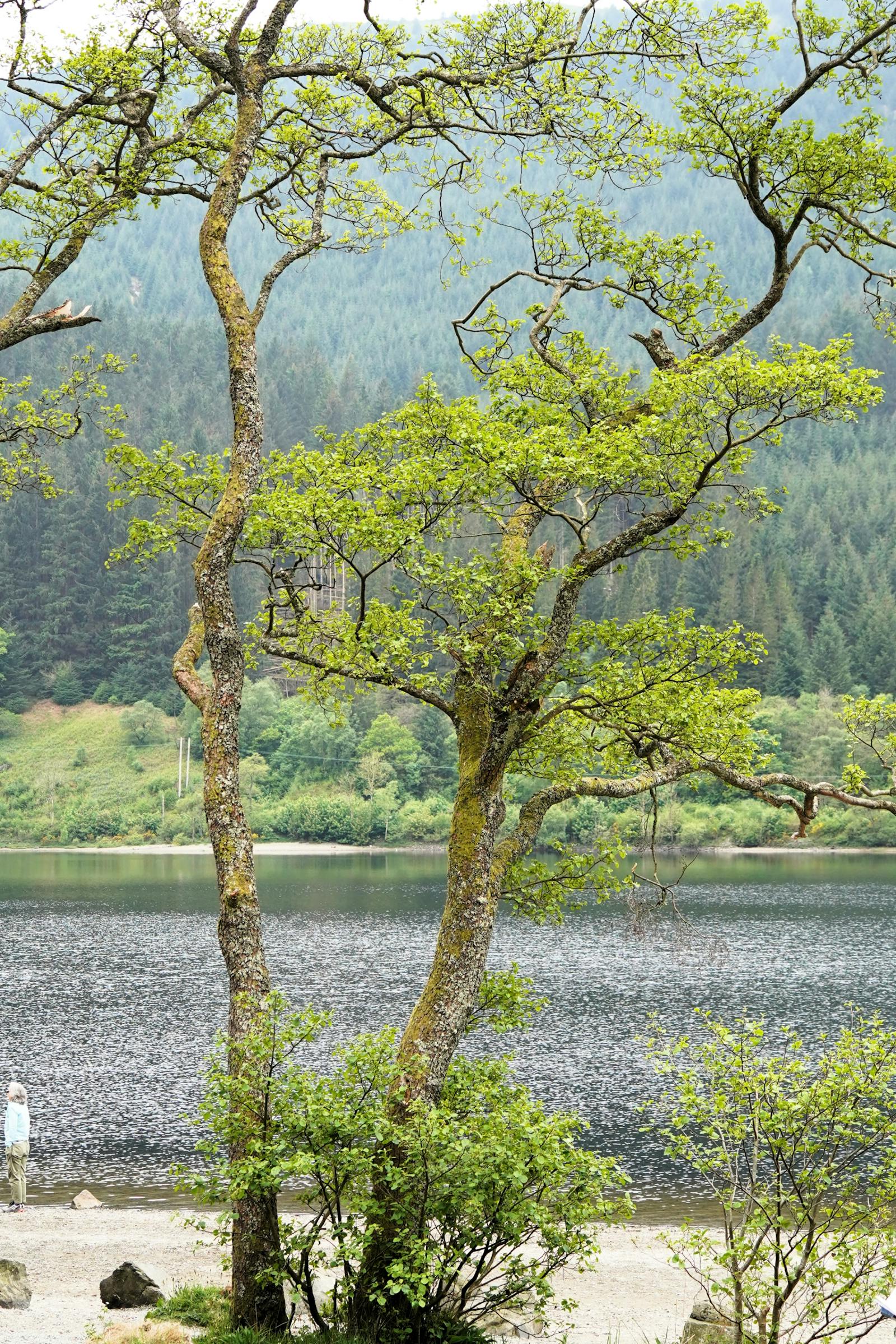 Dil Photo Photos, Download The BEST Free Dil Photo Stock Photos & HD Images