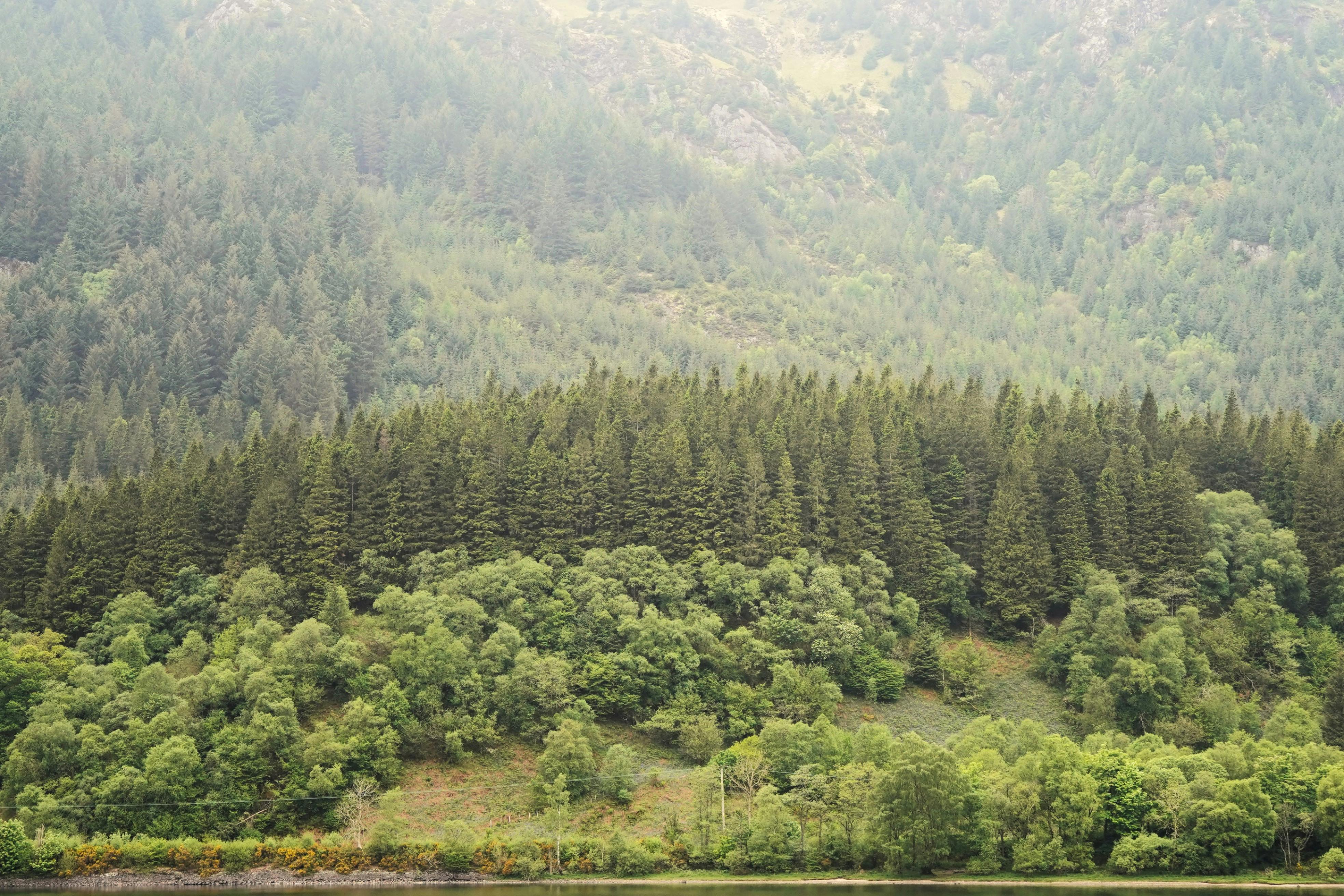 Sample Photo Photos, Download The BEST Free Sample Photo Stock Photos ...