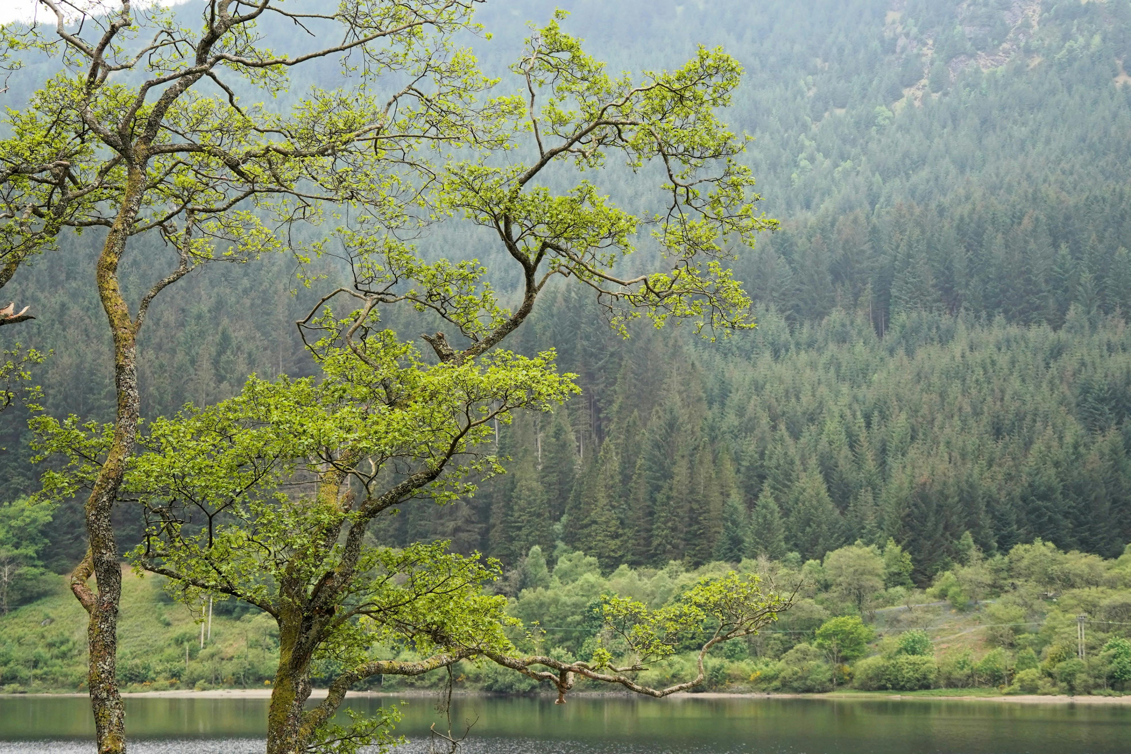 Mukesh Ambani Photo Photos, Download The BEST Free Mukesh Ambani Photo ...