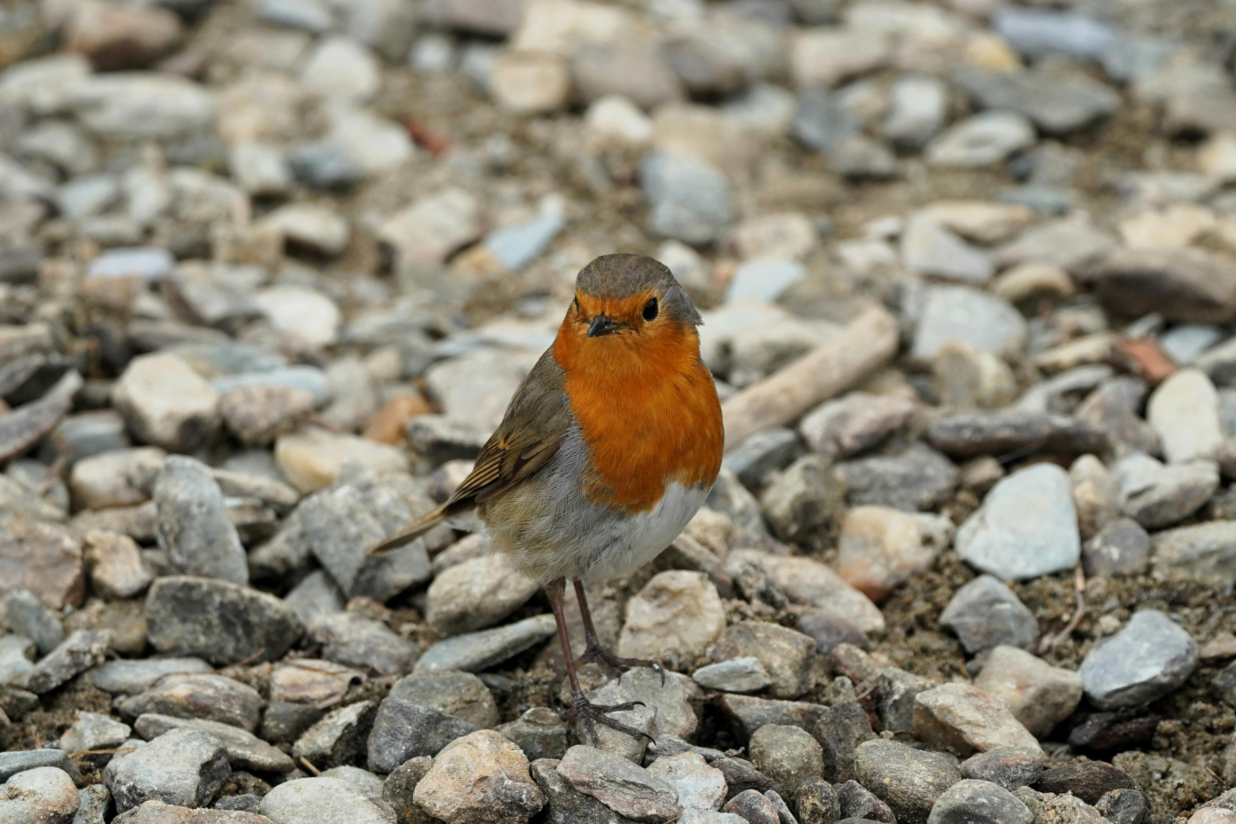 Mukesh Ambani Photo Photos, Download The BEST Free Mukesh Ambani Photo ...