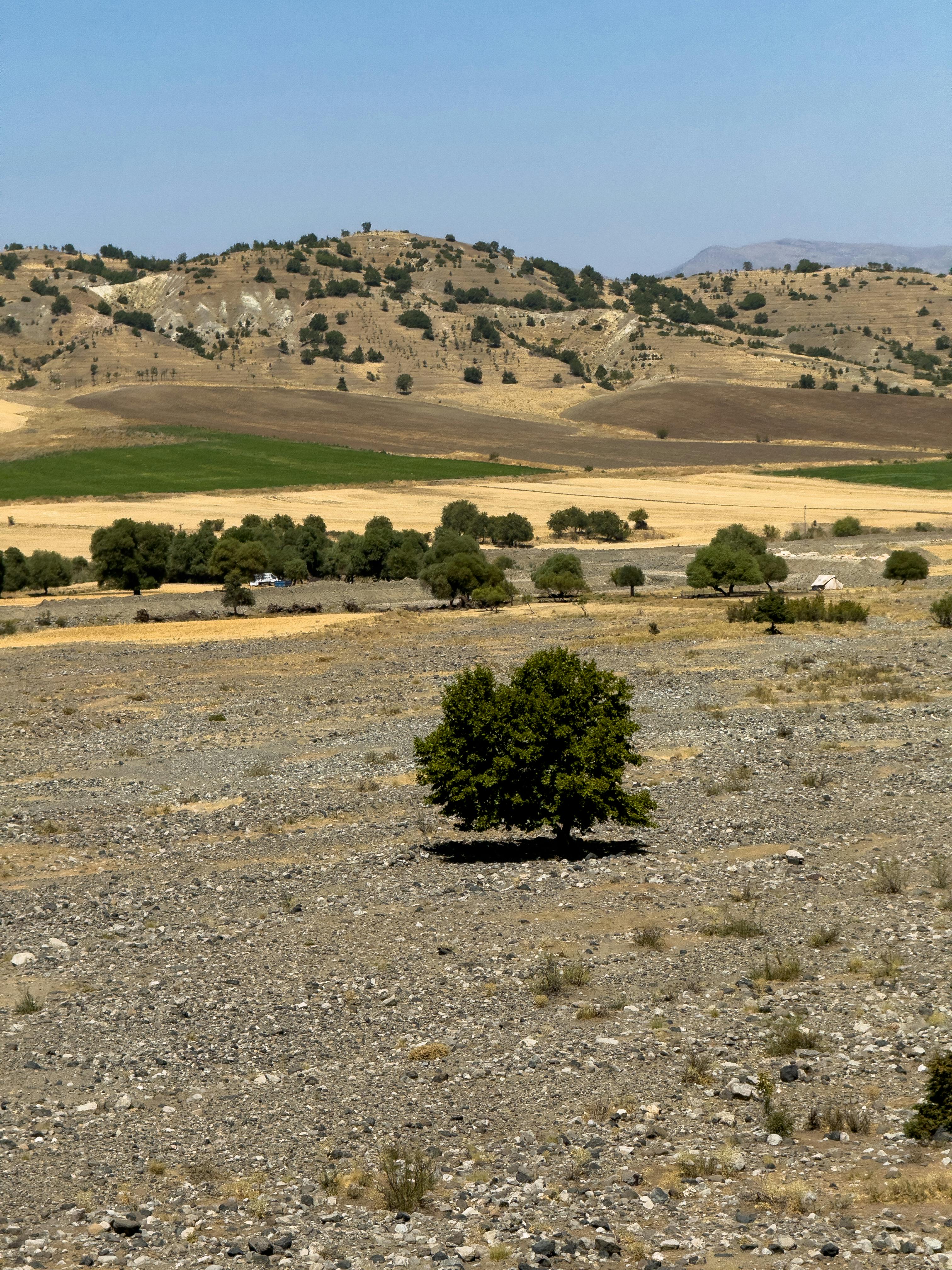 Ebony+Legs+Spread+Wide+Open Photos, Download The BEST Free Ebony+Legs ...