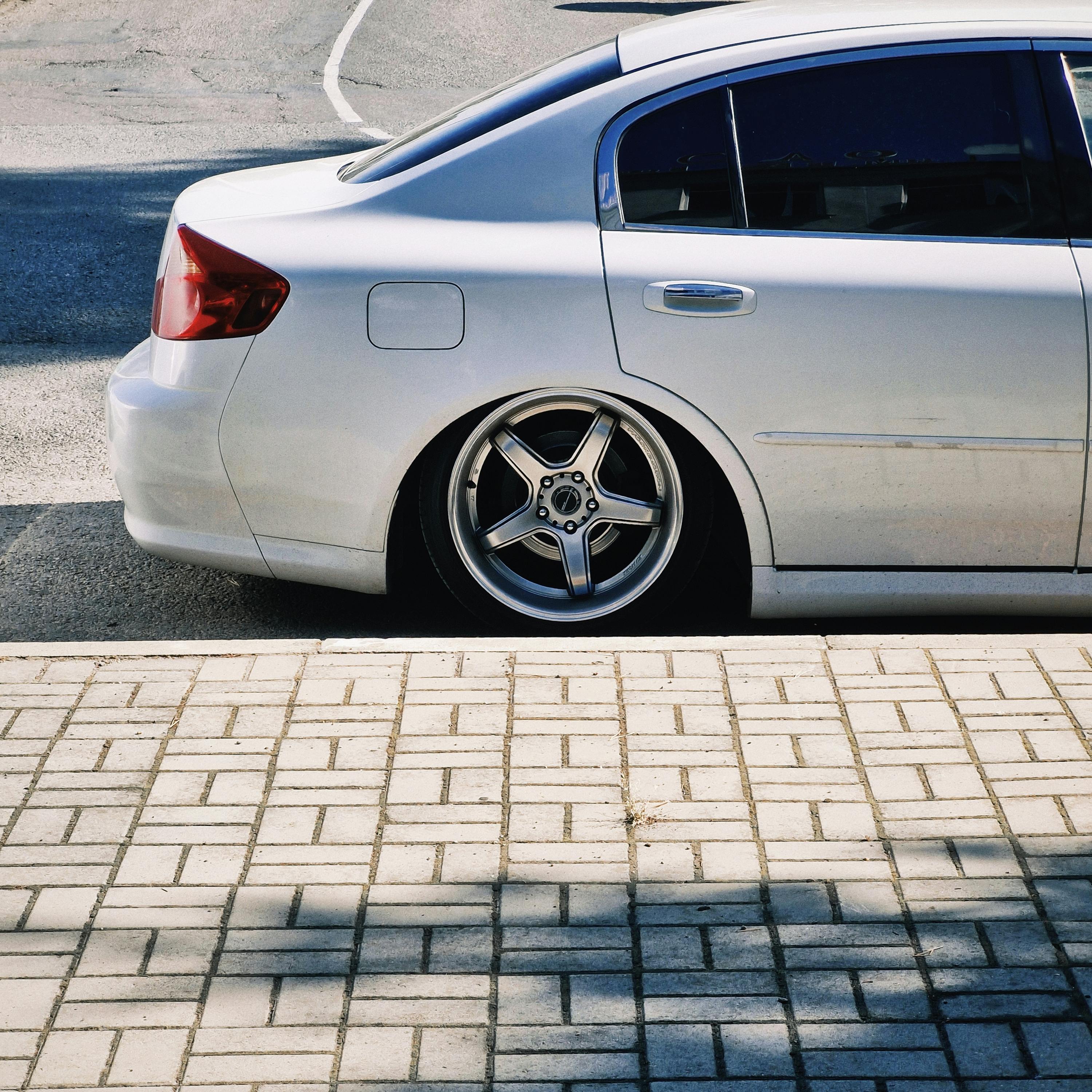 Bernadetta+Wozny+Photos Photos, Download The BEST Free Bernadetta+Wozny ...