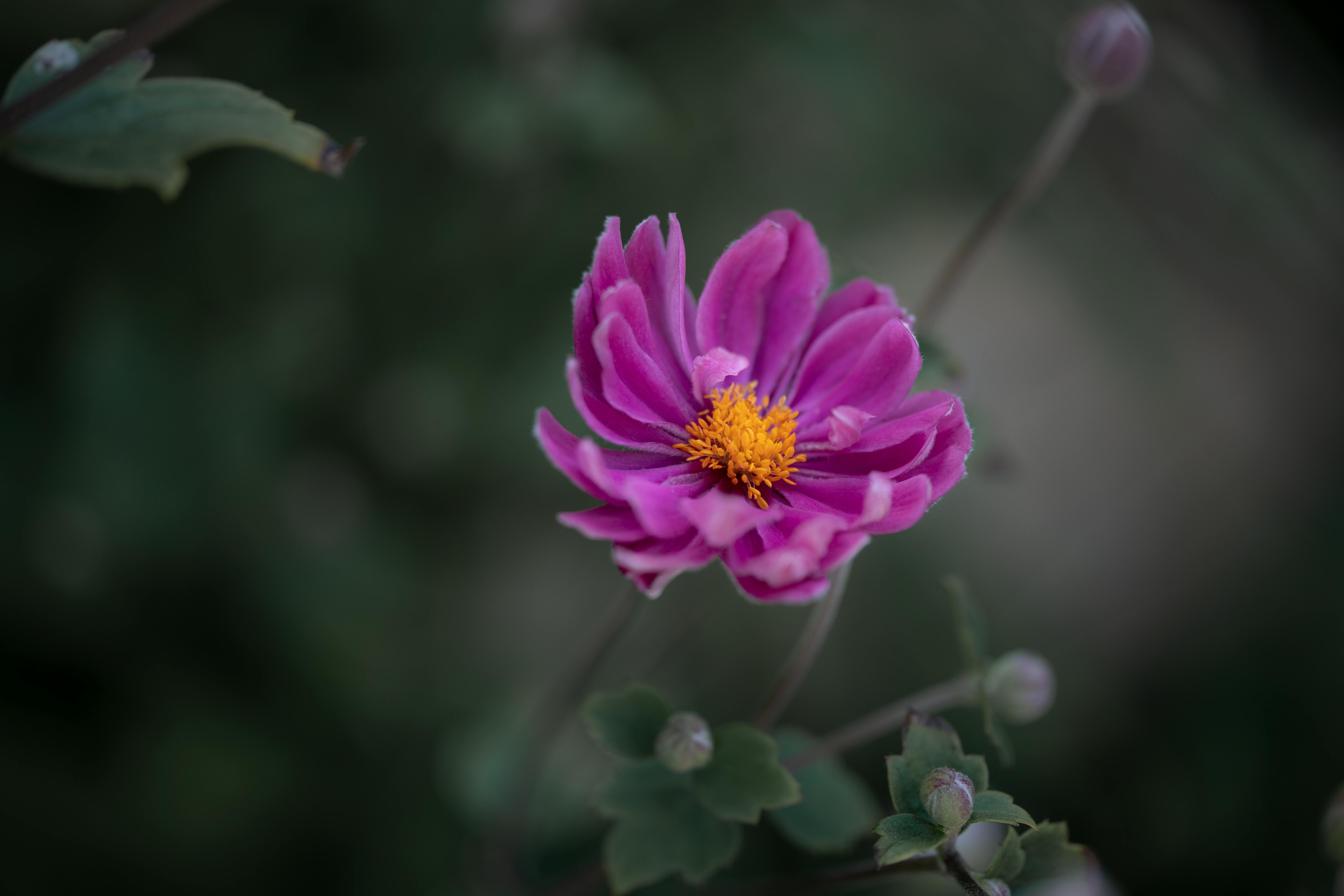 Dee+Dee+Gatton+Bikini+Photos Photos, Download The BEST Free Dee+Dee ...