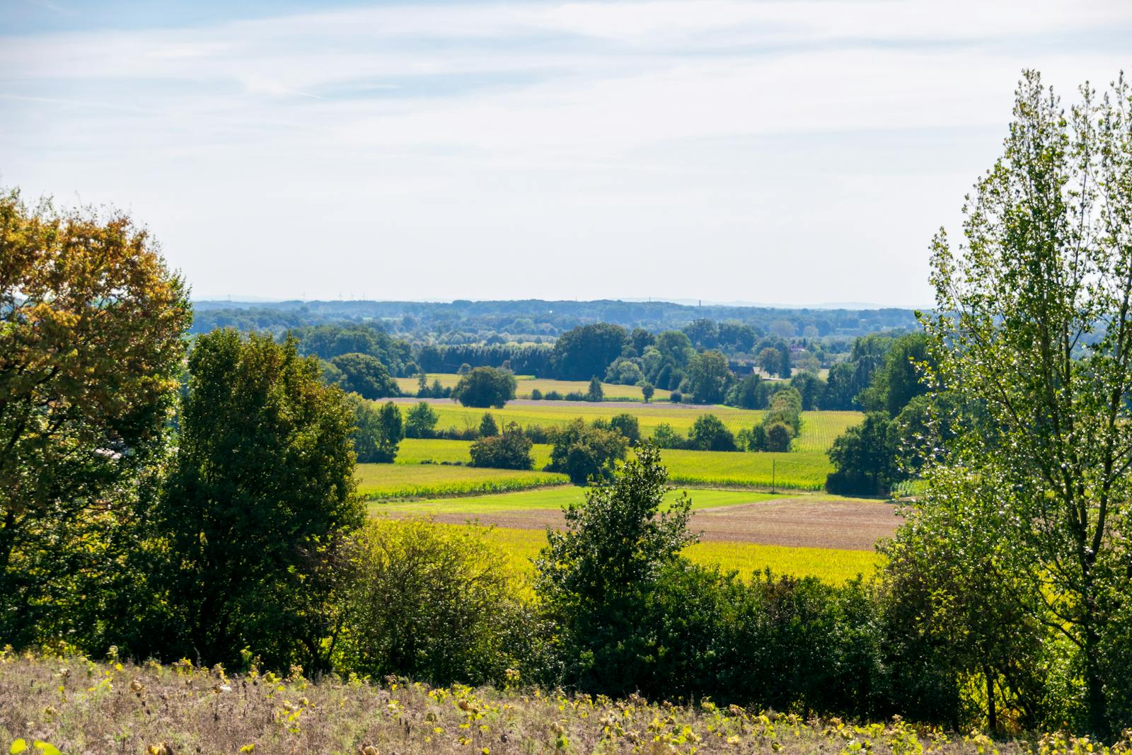 Nature View Photos, Download The BEST Free Nature View Stock Photos ...