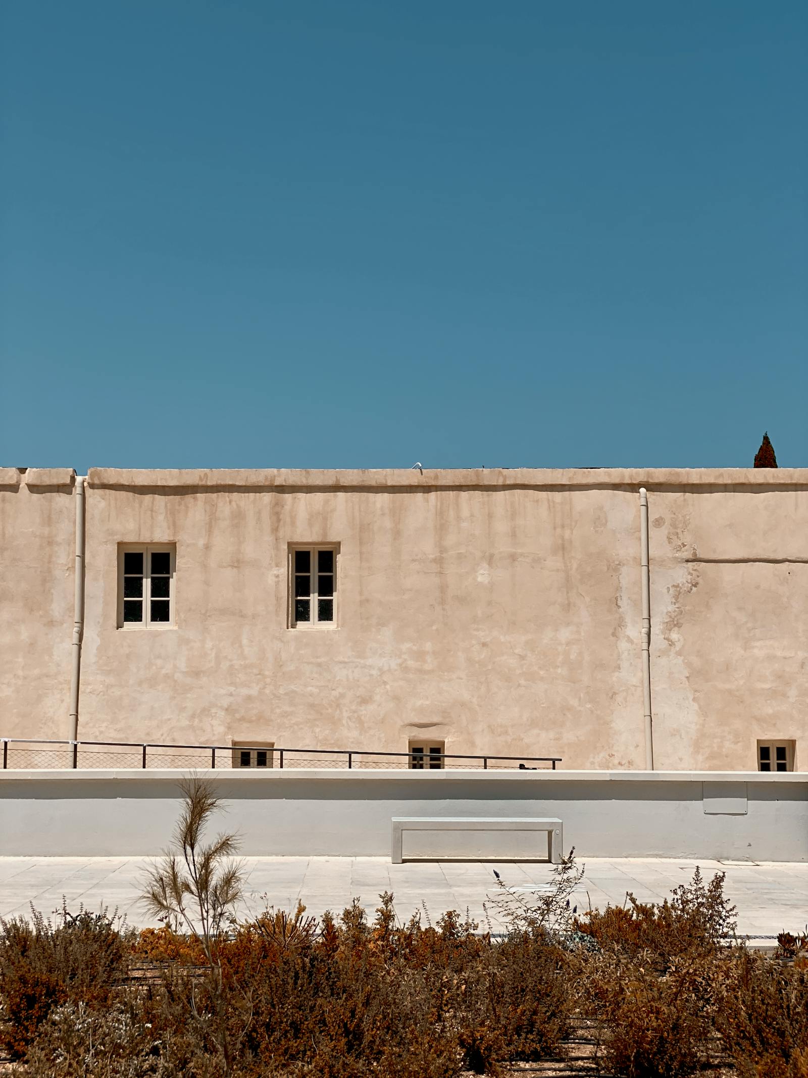 Visual Photos, Download The BEST Free Visual Stock Photos & HD Images