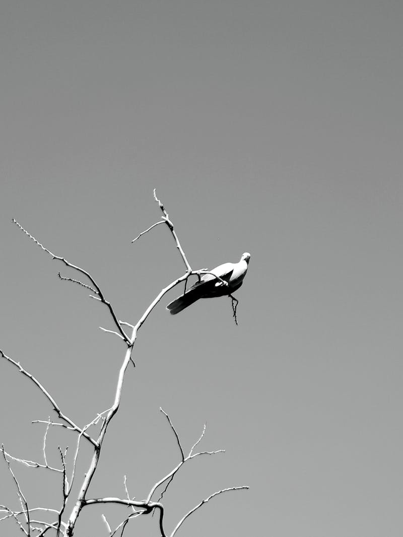 Simple Nature Photos, Download The BEST Free Simple Nature Stock Photos ...