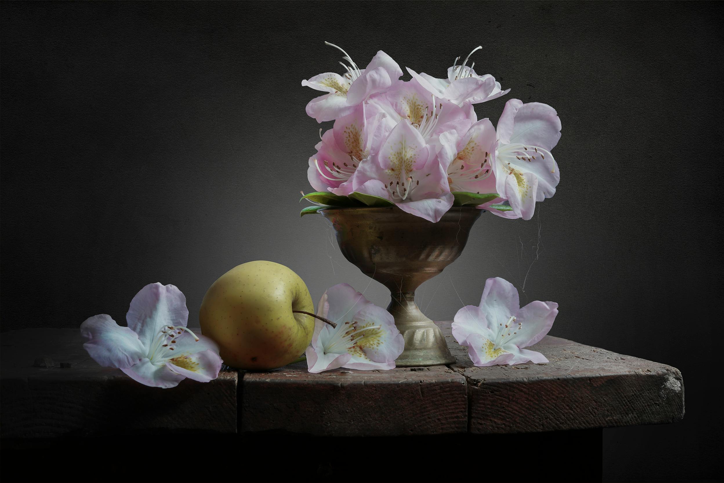 Objects Photos, Download The BEST Free Objects Stock Photos & HD Images