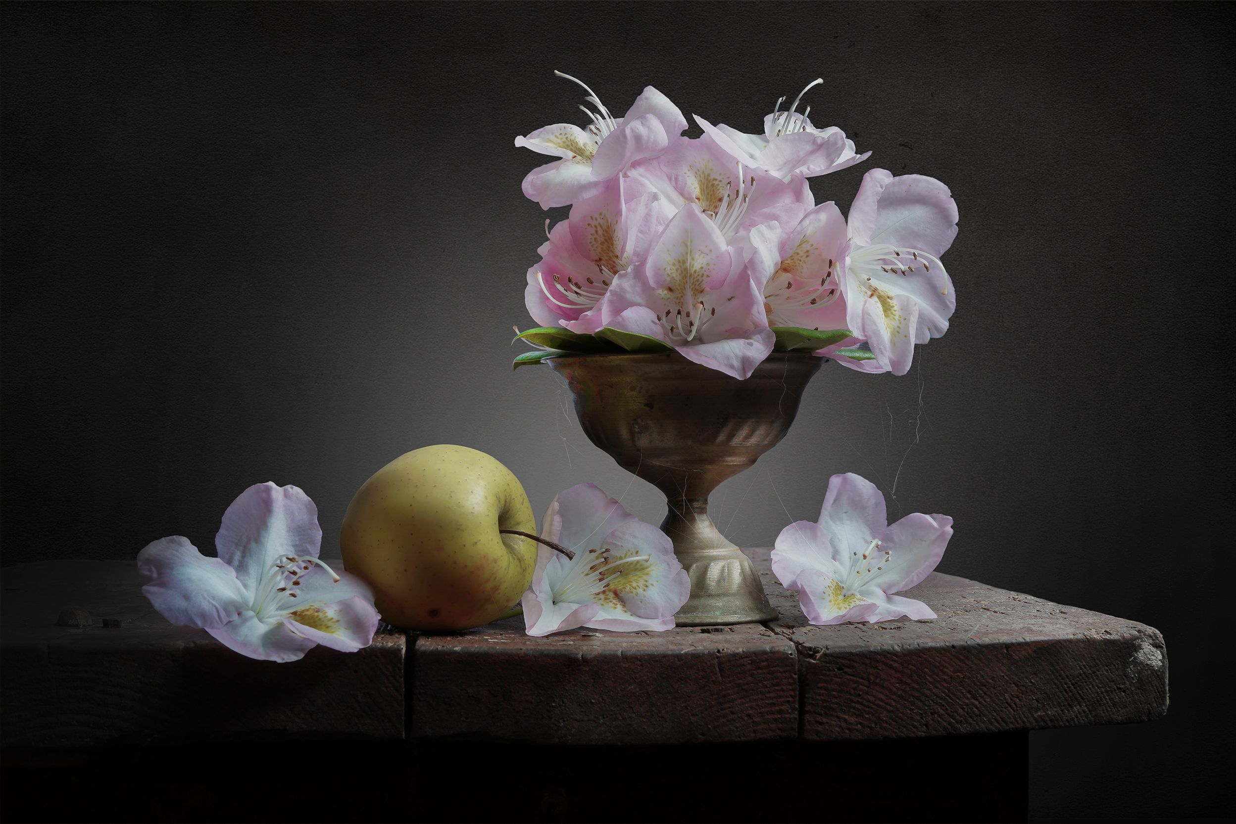 Objects Of Nature Photos, Download The BEST Free Objects Of Nature ...