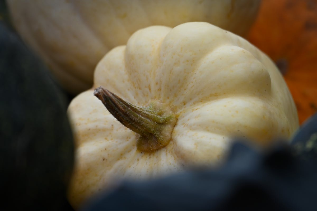 Hello October Photos, Download The BEST Free Hello October Stock Photos ...