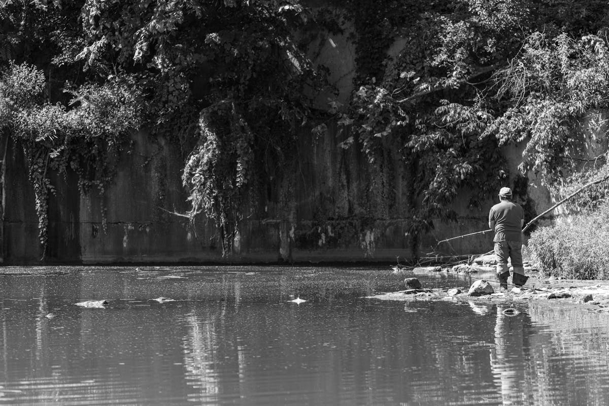 Free+Pfps Photos, Download The BEST Free Free+Pfps Stock Photos & HD Images