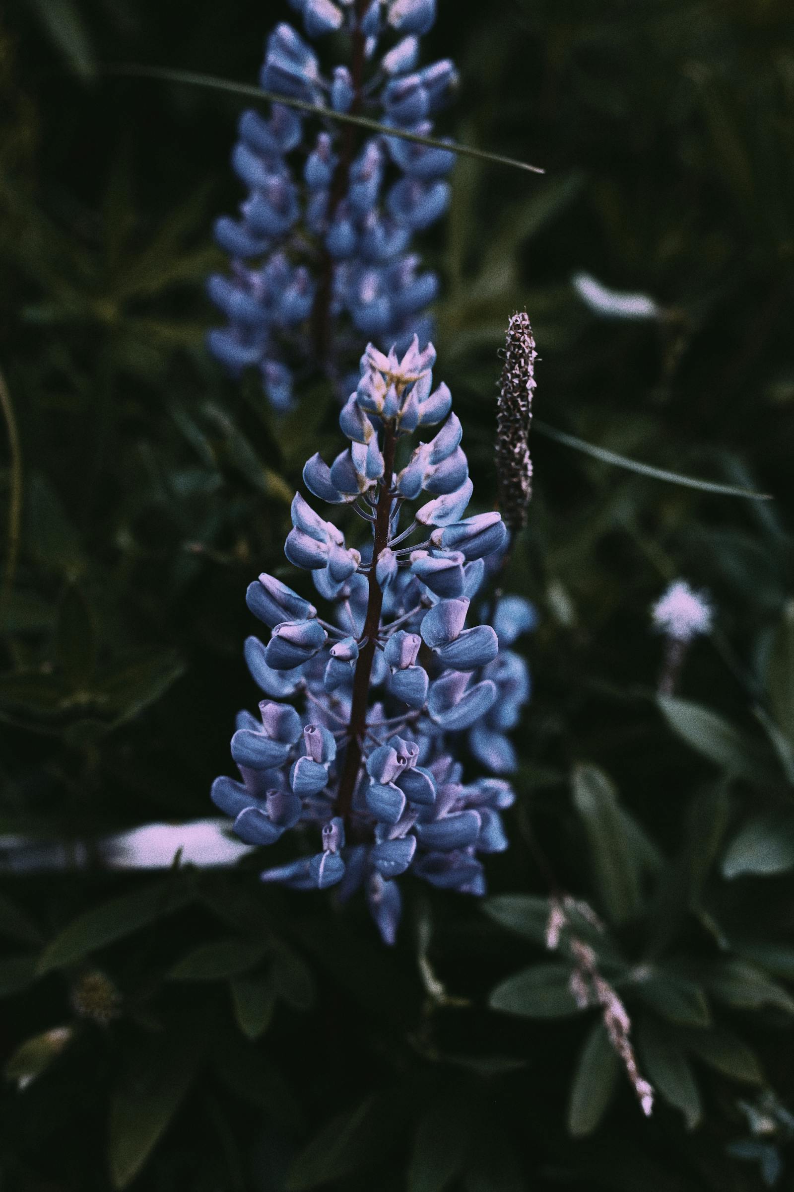 Visual Photos, Download The BEST Free Visual Stock Photos & HD Images