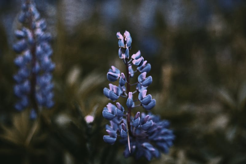 Calm Blue Background Photos, Download The BEST Free Calm Blue ...