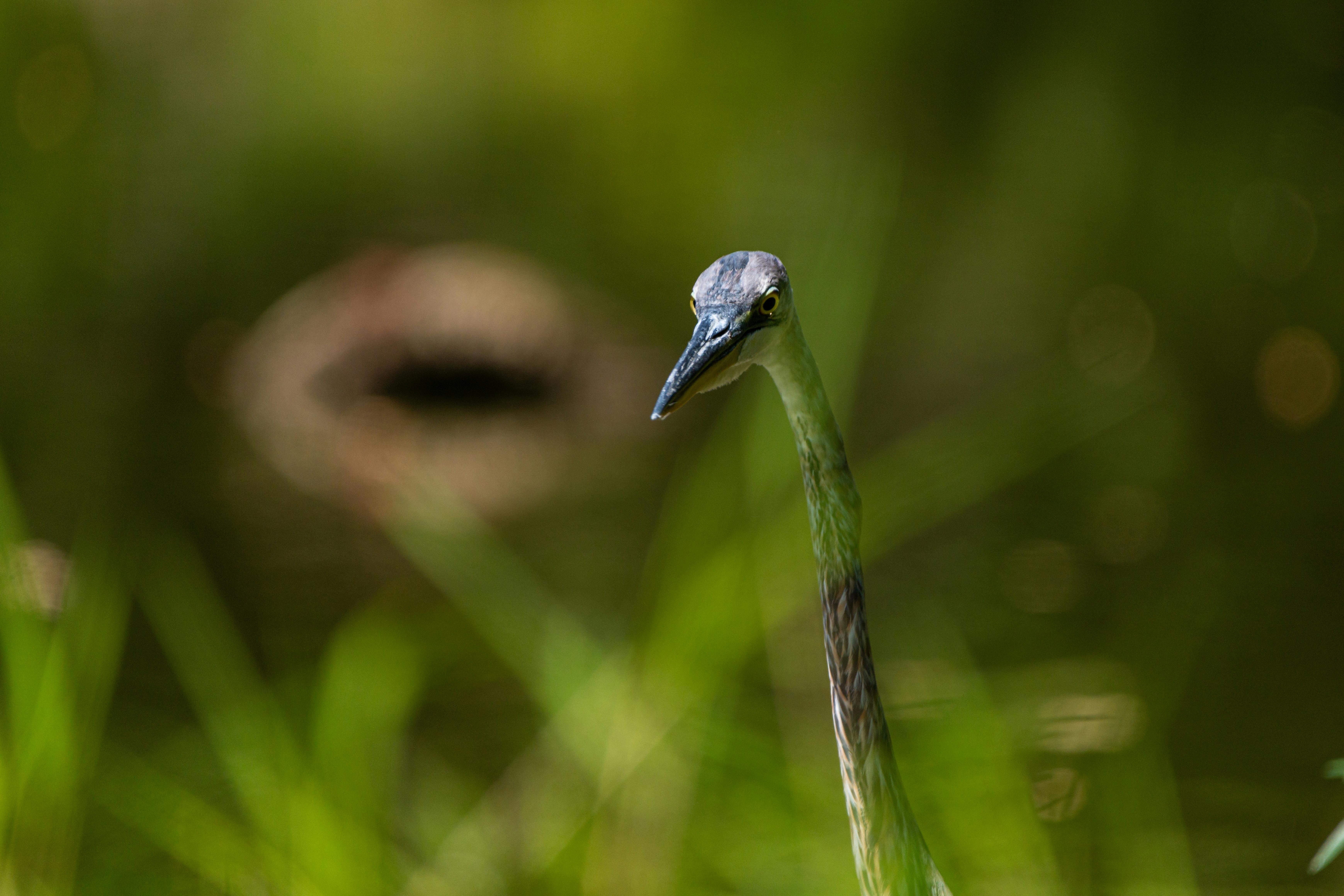 Environmental Awareness Photos, Download The BEST Free Environmental ...