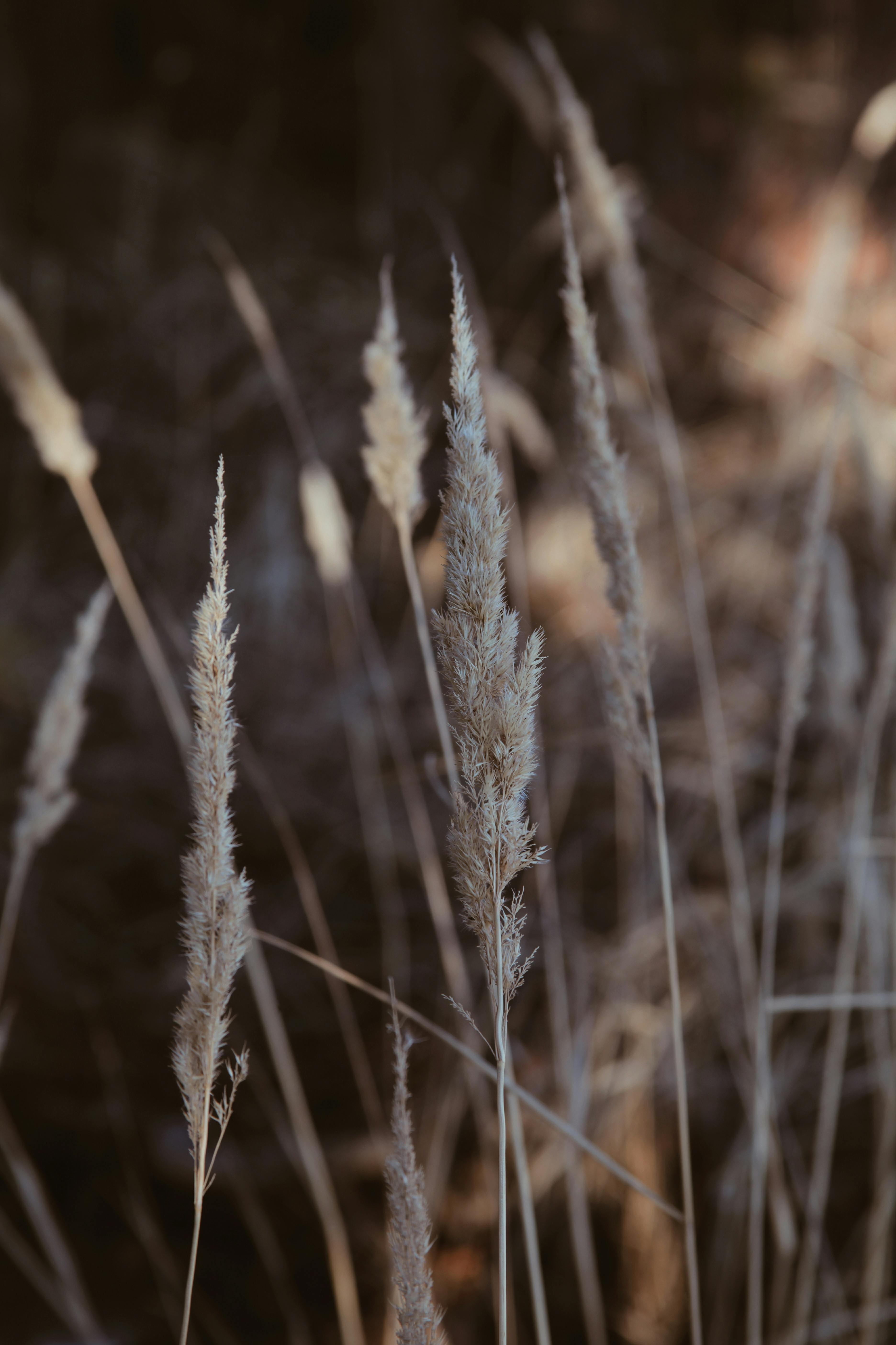 Simple Landscape Photos, Download The BEST Free Simple Landscape Stock ...