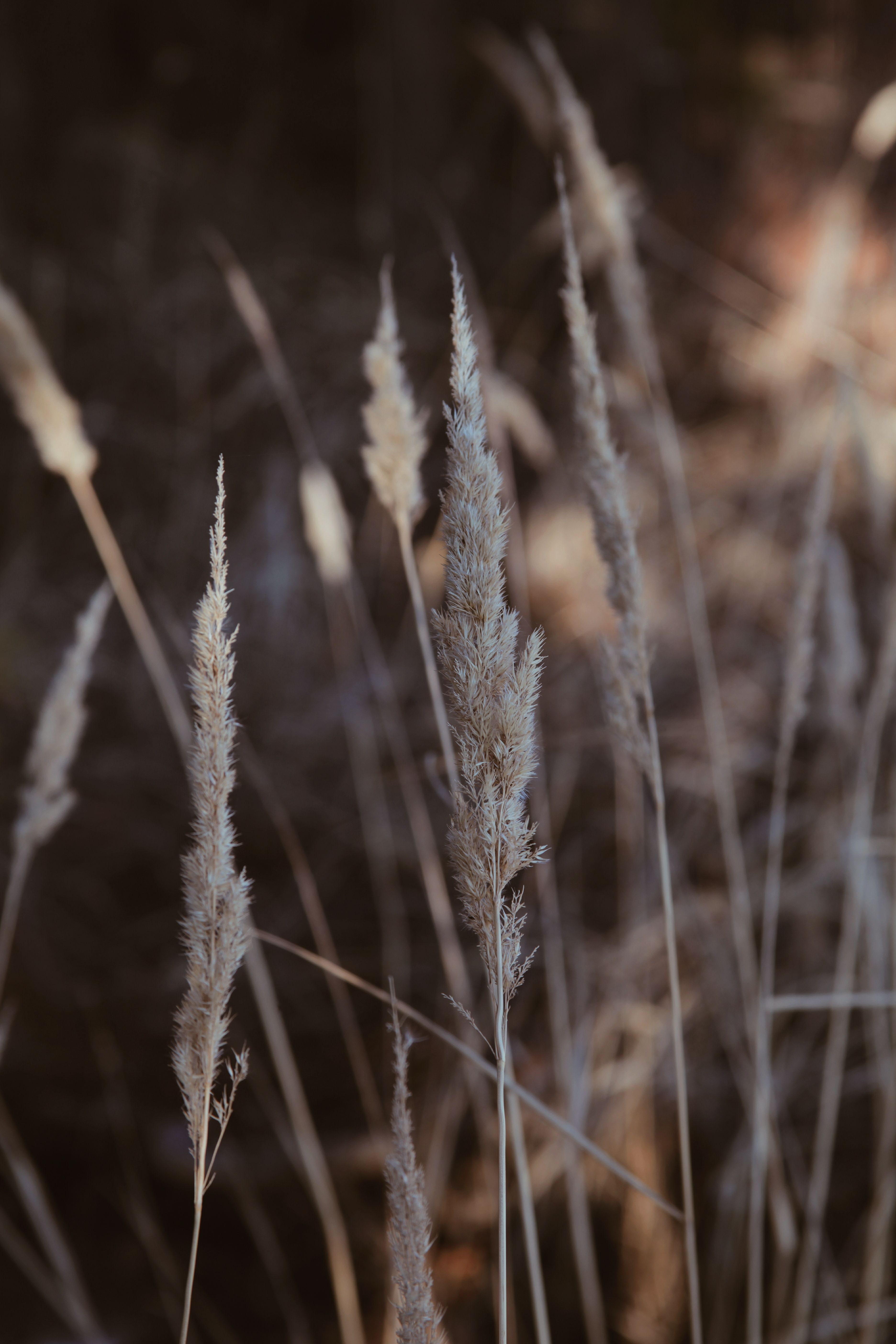 Subtle Background Photos, Download The BEST Free Subtle Background ...