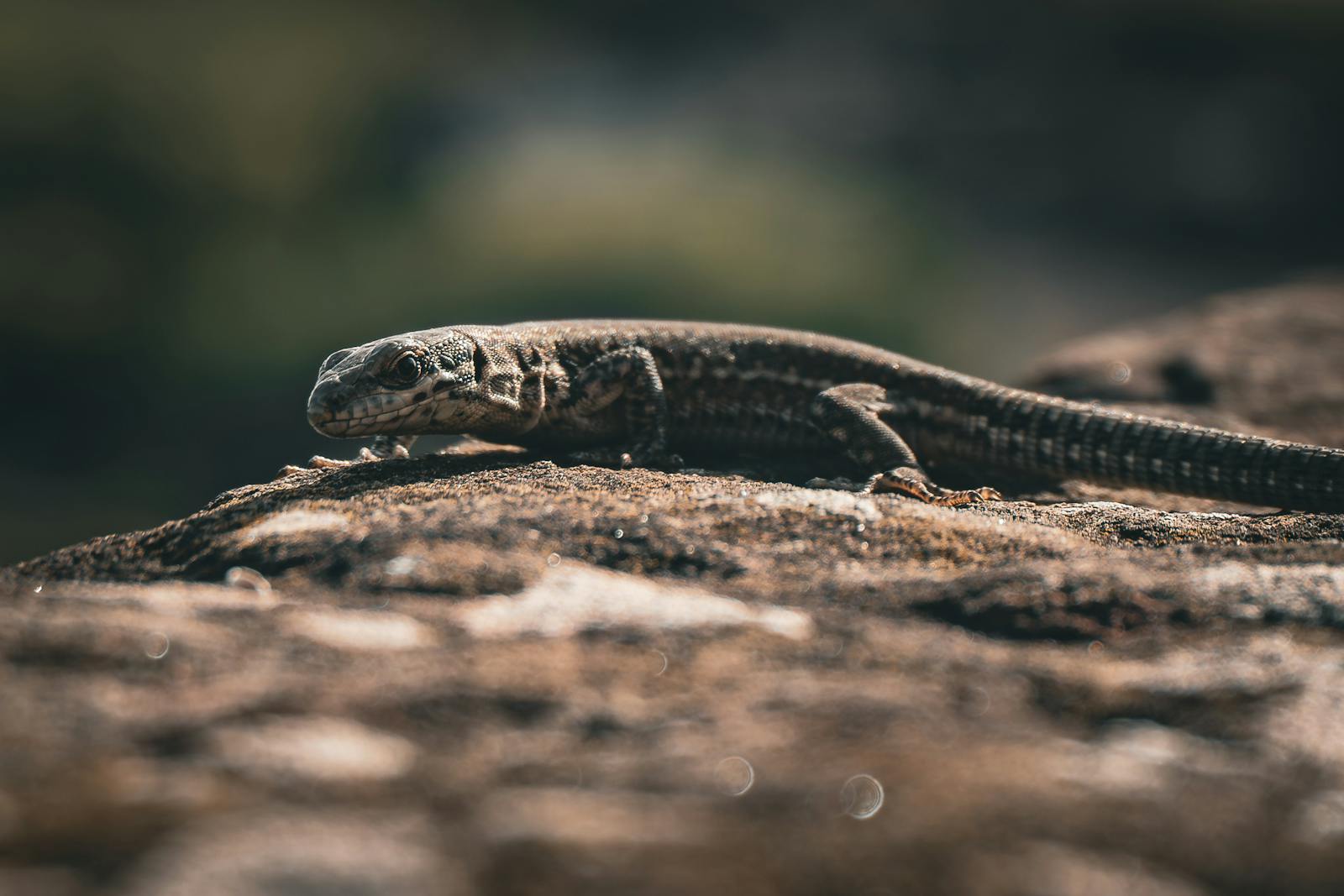 4k Pfp Photos, Download The BEST Free 4k Pfp Stock Photos & HD Images