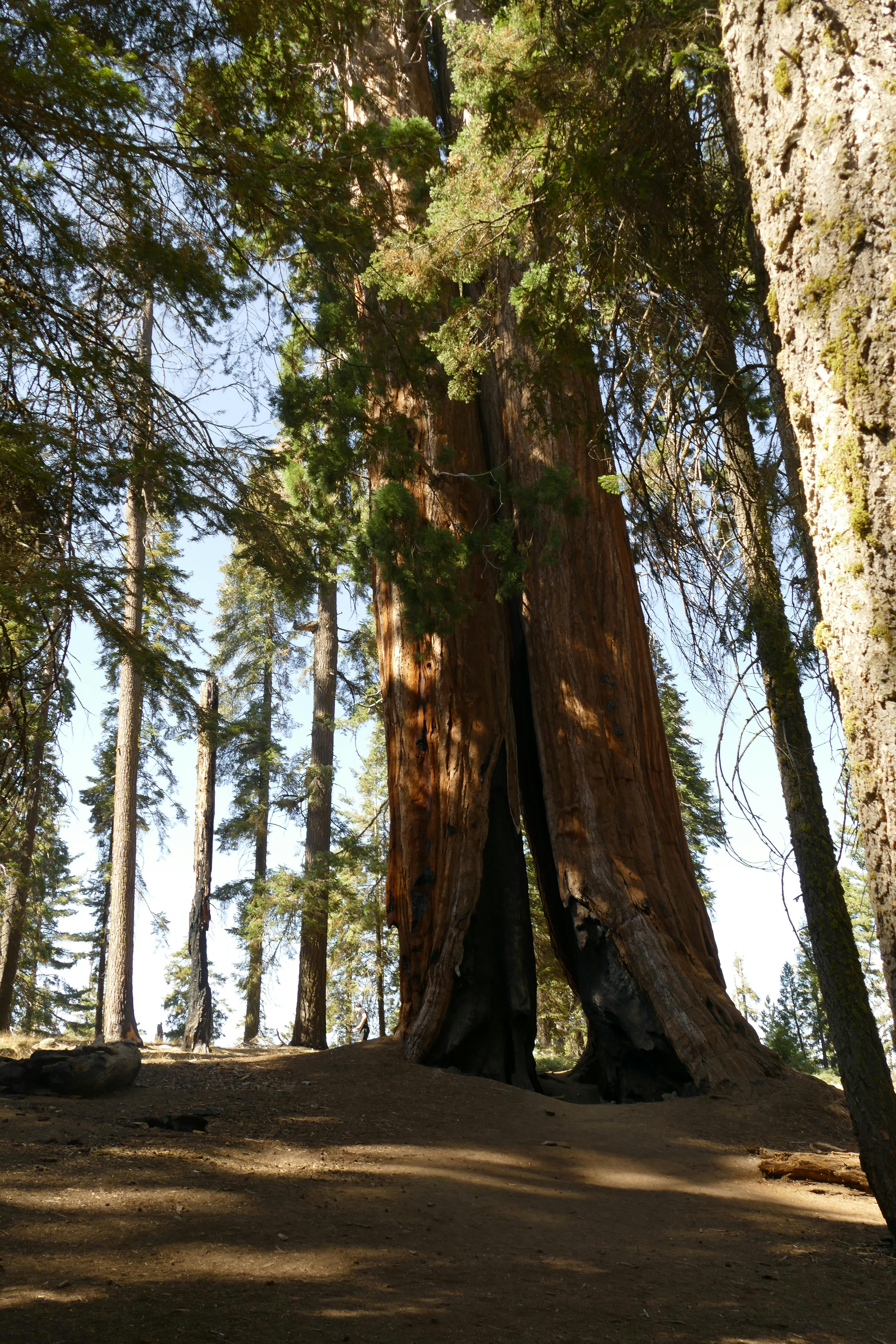 Teen+Marvel+Kayley Photos, Download The BEST Free Teen+Marvel+Kayley ...