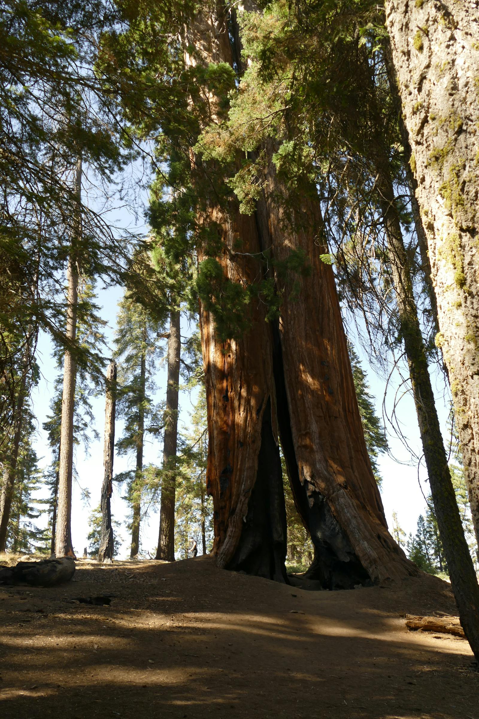 Teen+Marvel+Kayley Photos, Download The BEST Free Teen+Marvel+Kayley ...