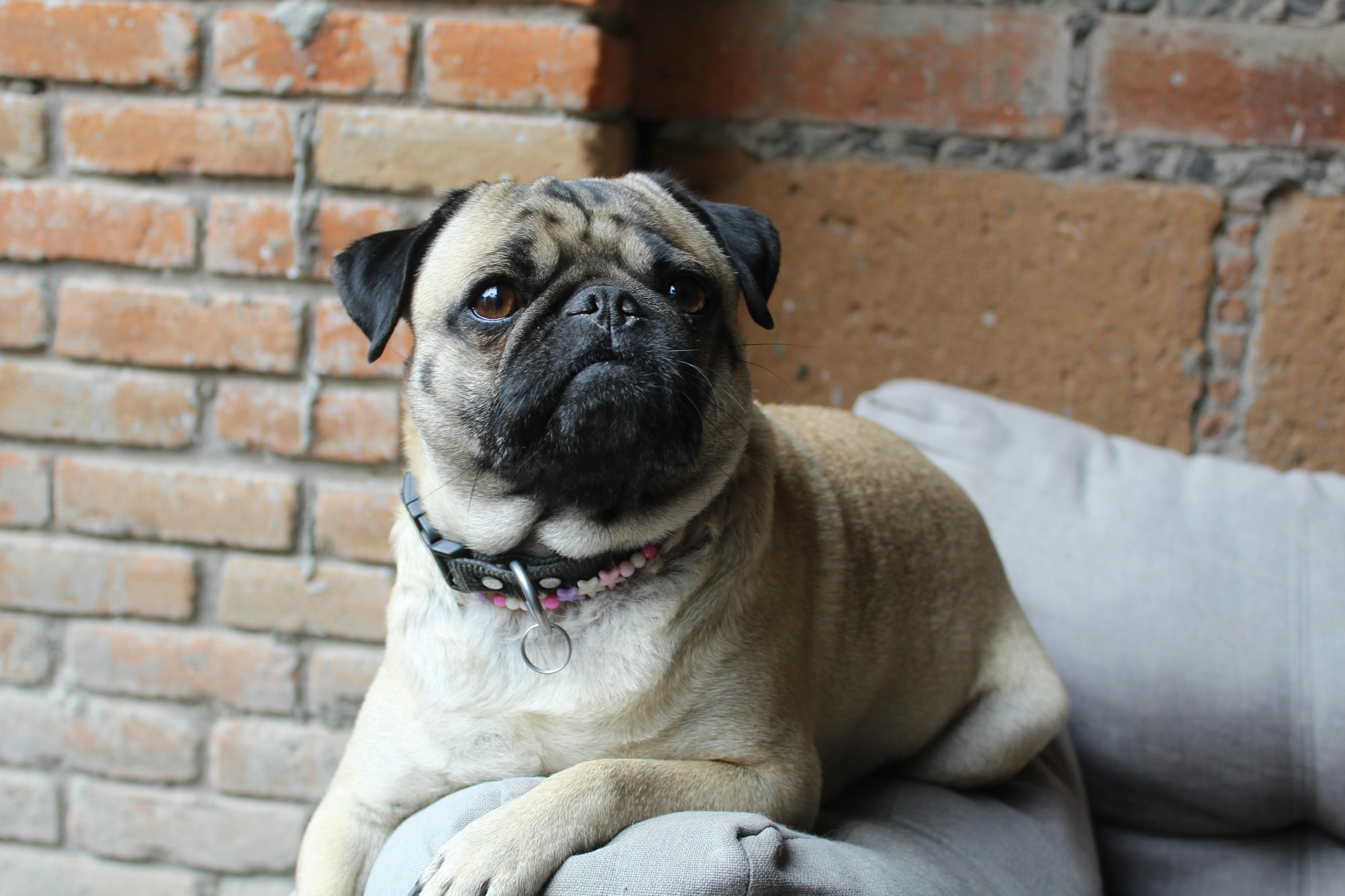 Screen+Shorts Photos, Download The BEST Free Screen+Shorts Stock Photos ...