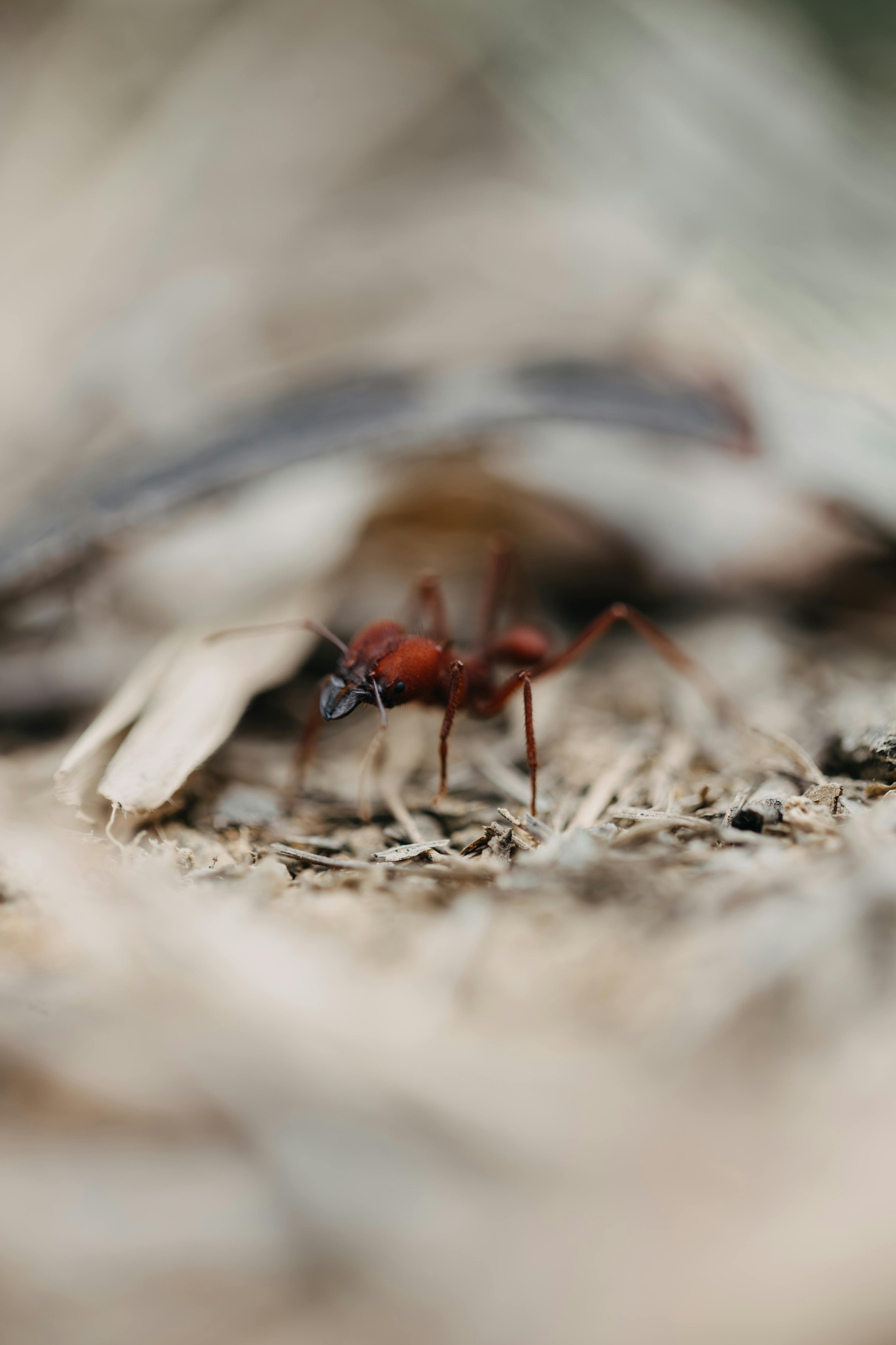 Tiny Photos, Download The BEST Free Tiny Stock Photos & HD Images