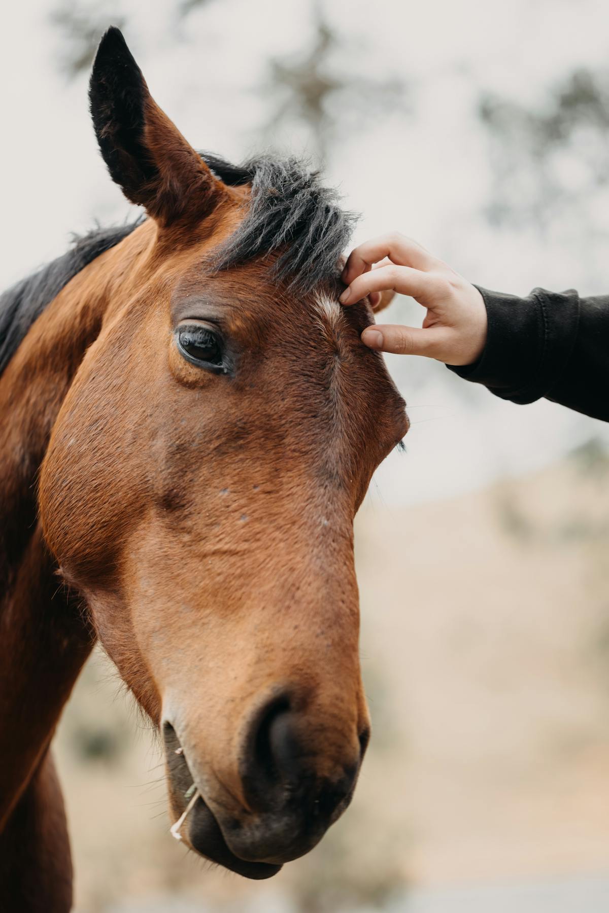 Human+Copulation Photos, Download The BEST Free Human+Copulation Stock ...