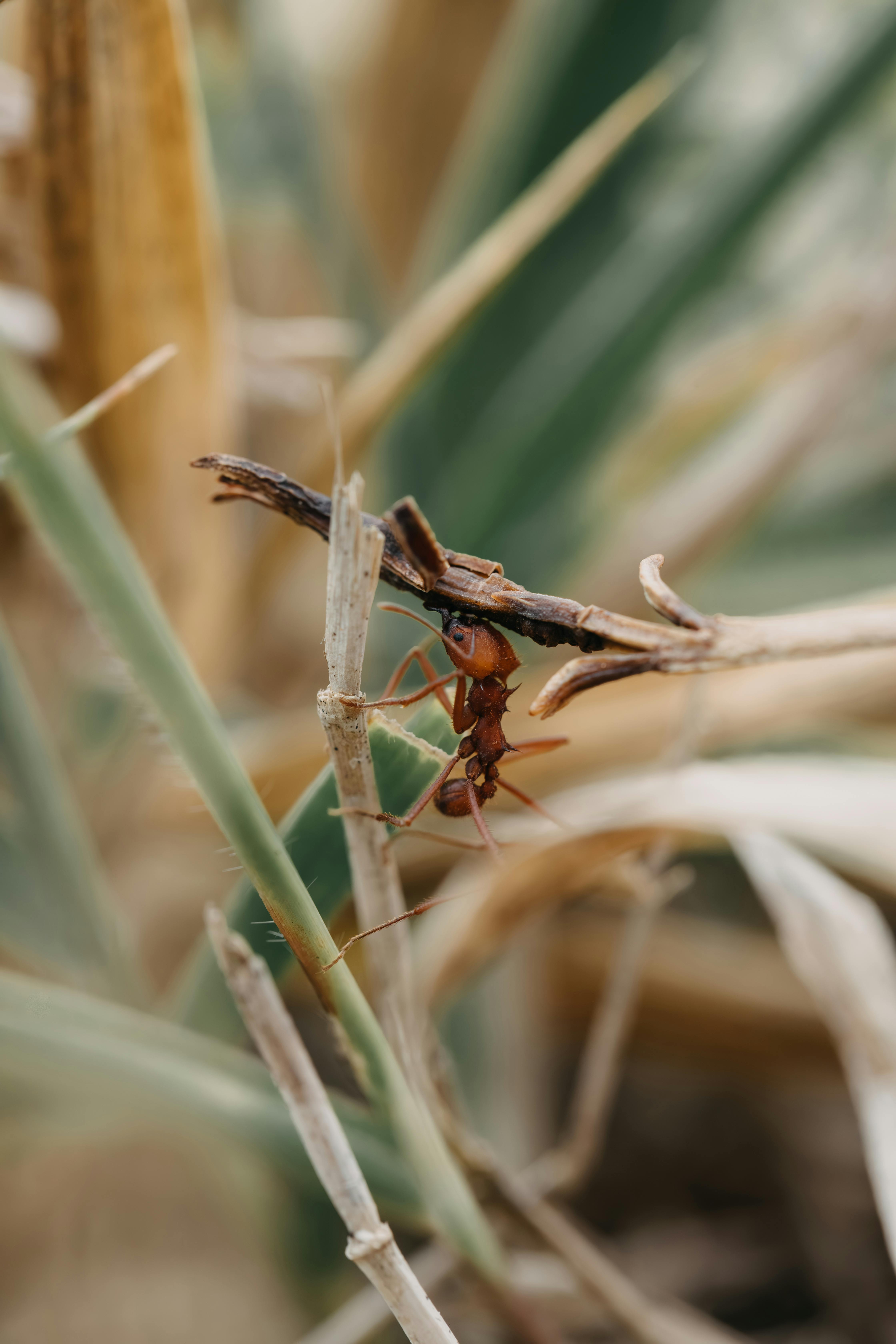 Tiny Photos, Download The BEST Free Tiny Stock Photos & HD Images