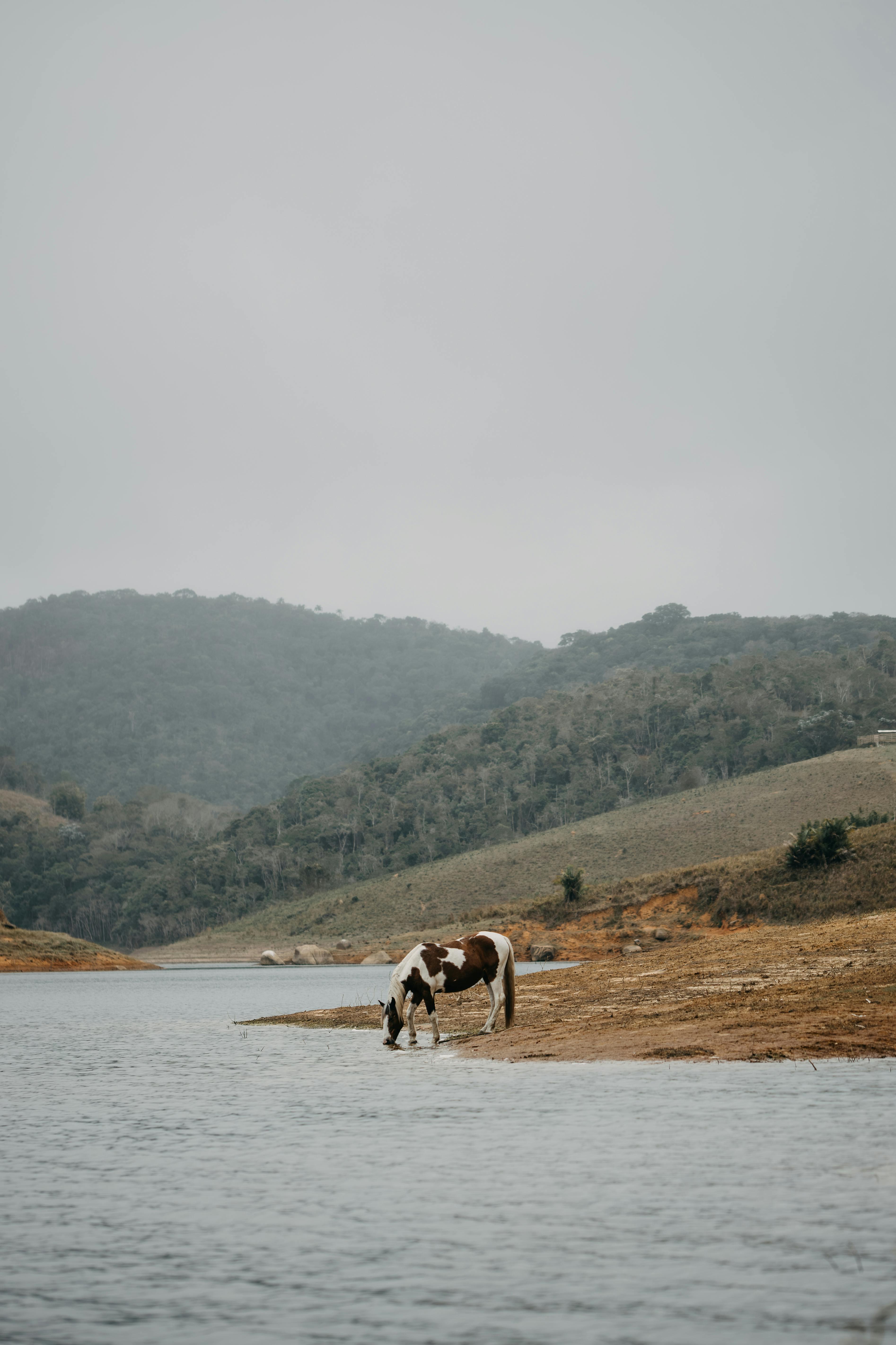 Calmness Photos, Download The BEST Free Calmness Stock Photos & HD Images