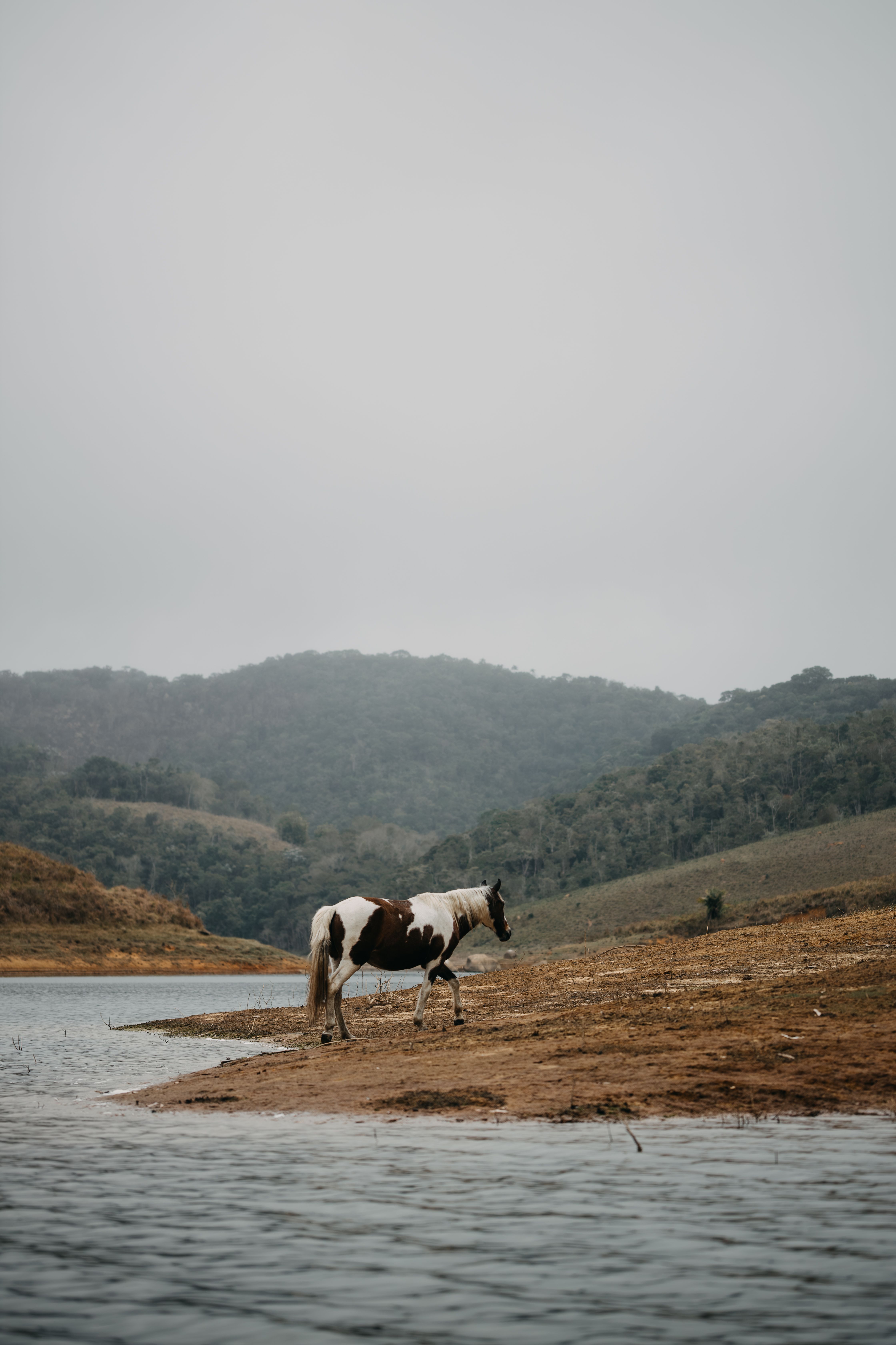 Foto de stock gratuita sobre acampada, agua, al aire libre, américa del ...