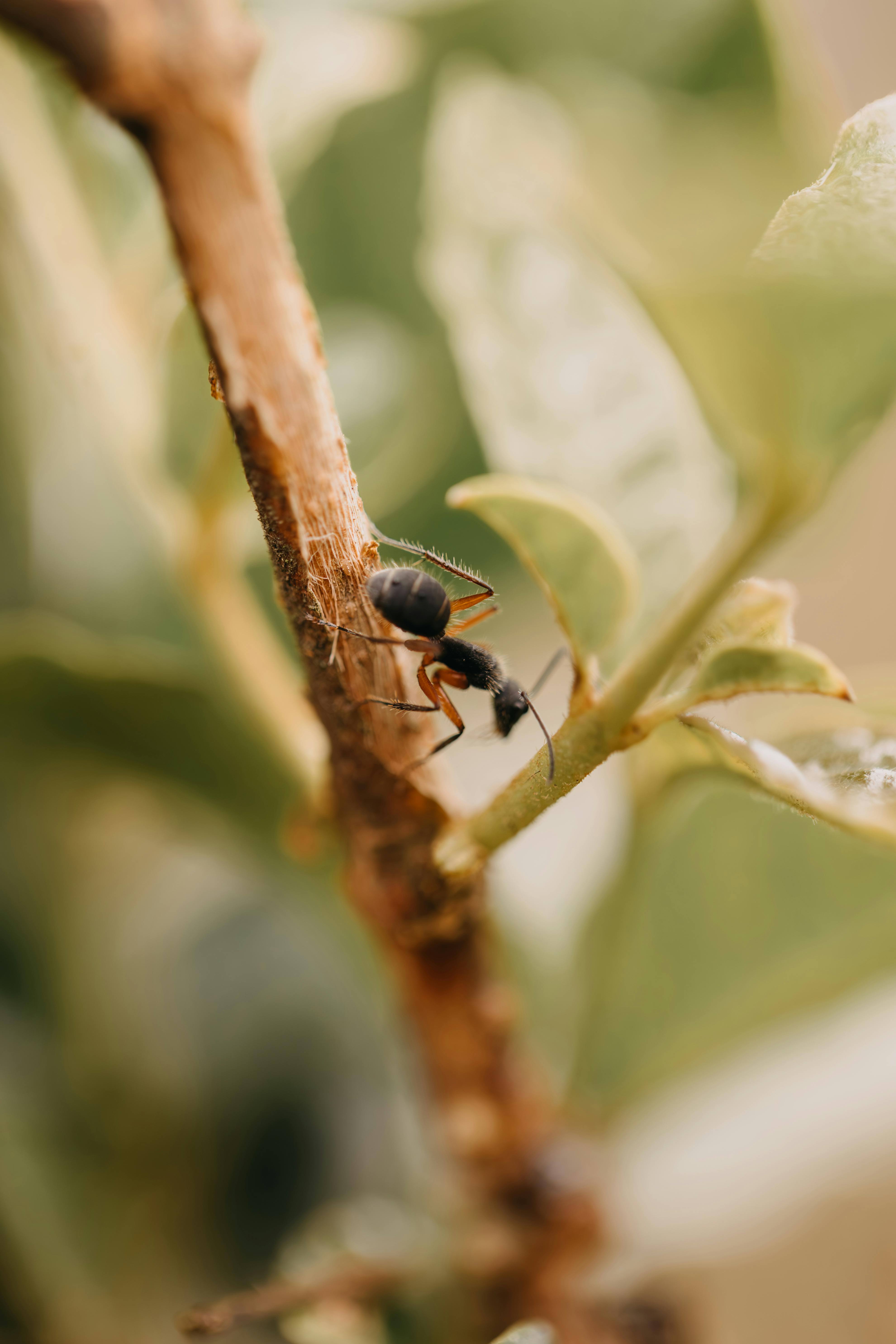 Tiny Photos, Download The BEST Free Tiny Stock Photos & HD Images