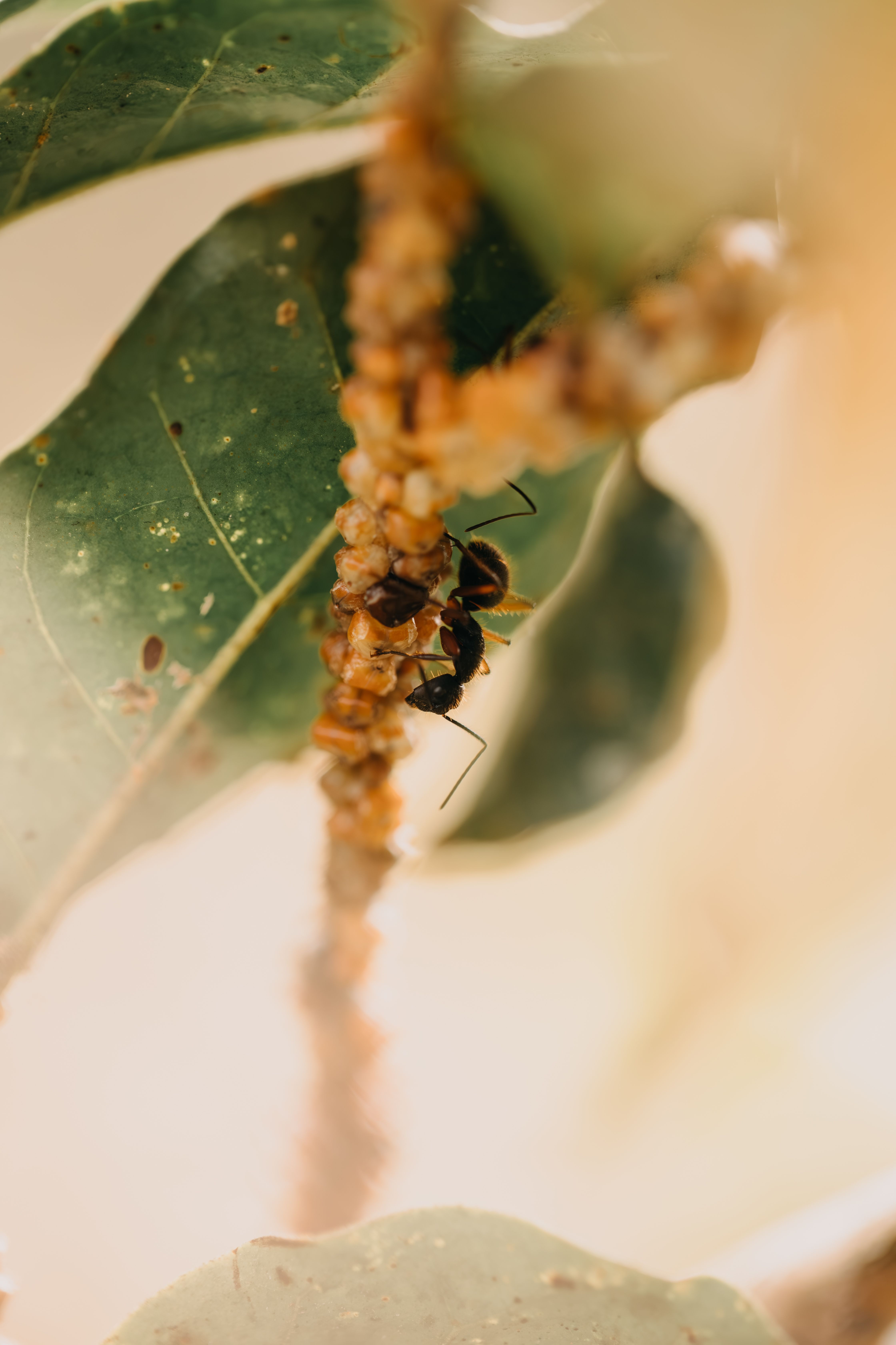 Sponsored Photos IStock Photos, Download The BEST Free Sponsored Photos ...