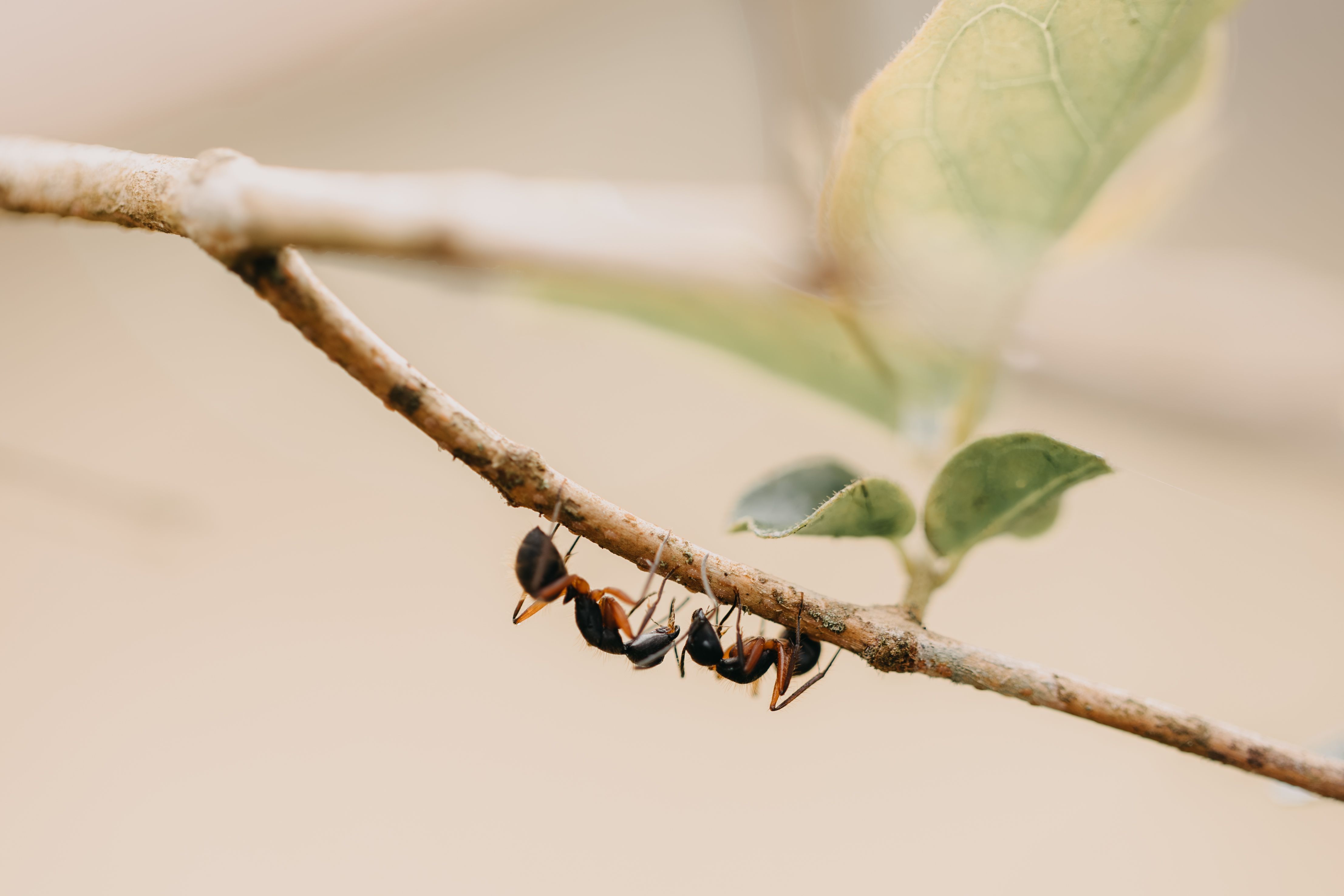 Spring Nature Photos, Download The BEST Free Spring Nature Stock Photos ...