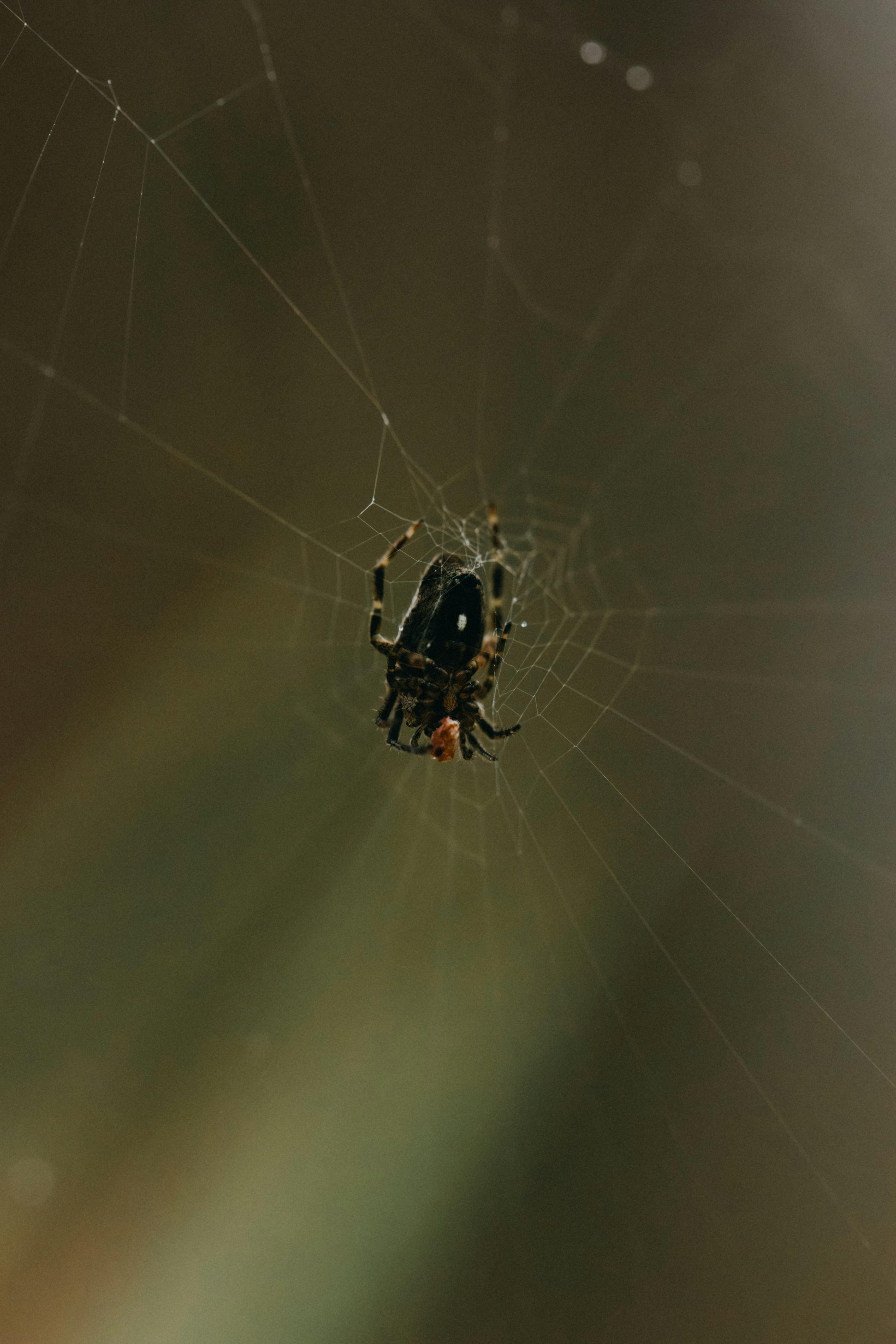 Dark Net Photos, Download The BEST Free Dark Net Stock Photos & HD Images