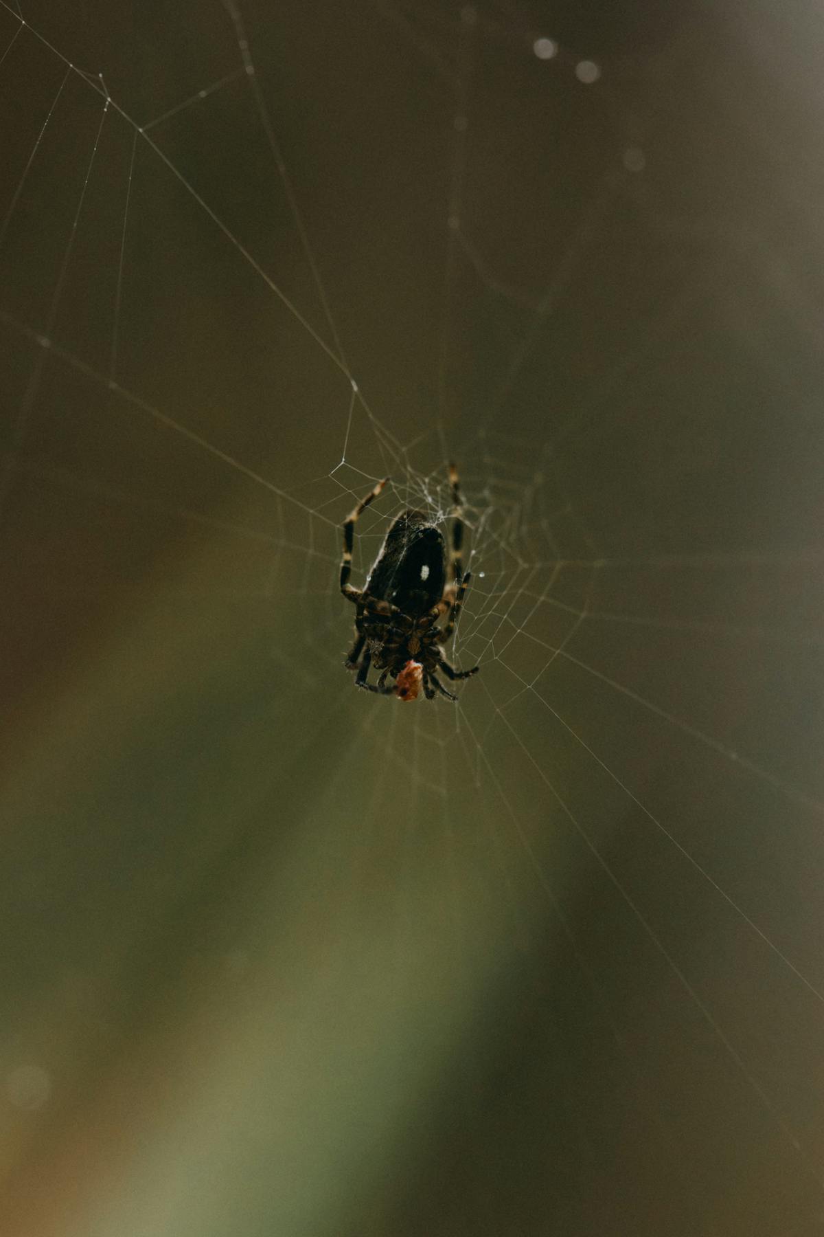 Web Page Background Photos, Download The BEST Free Web Page Background ...