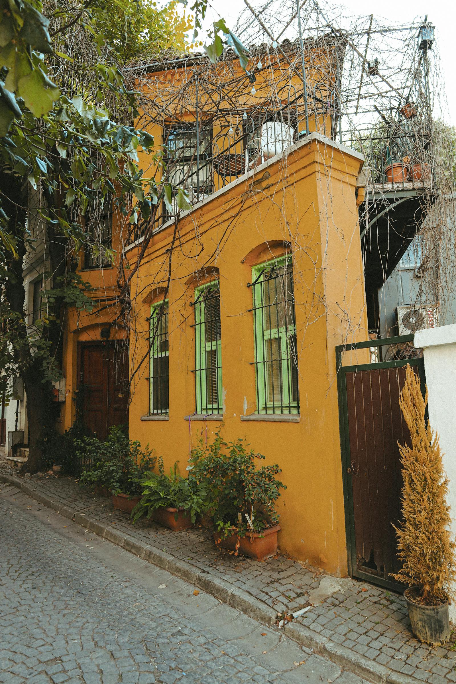 4k Pfp Photos, Download The BEST Free 4k Pfp Stock Photos & HD Images